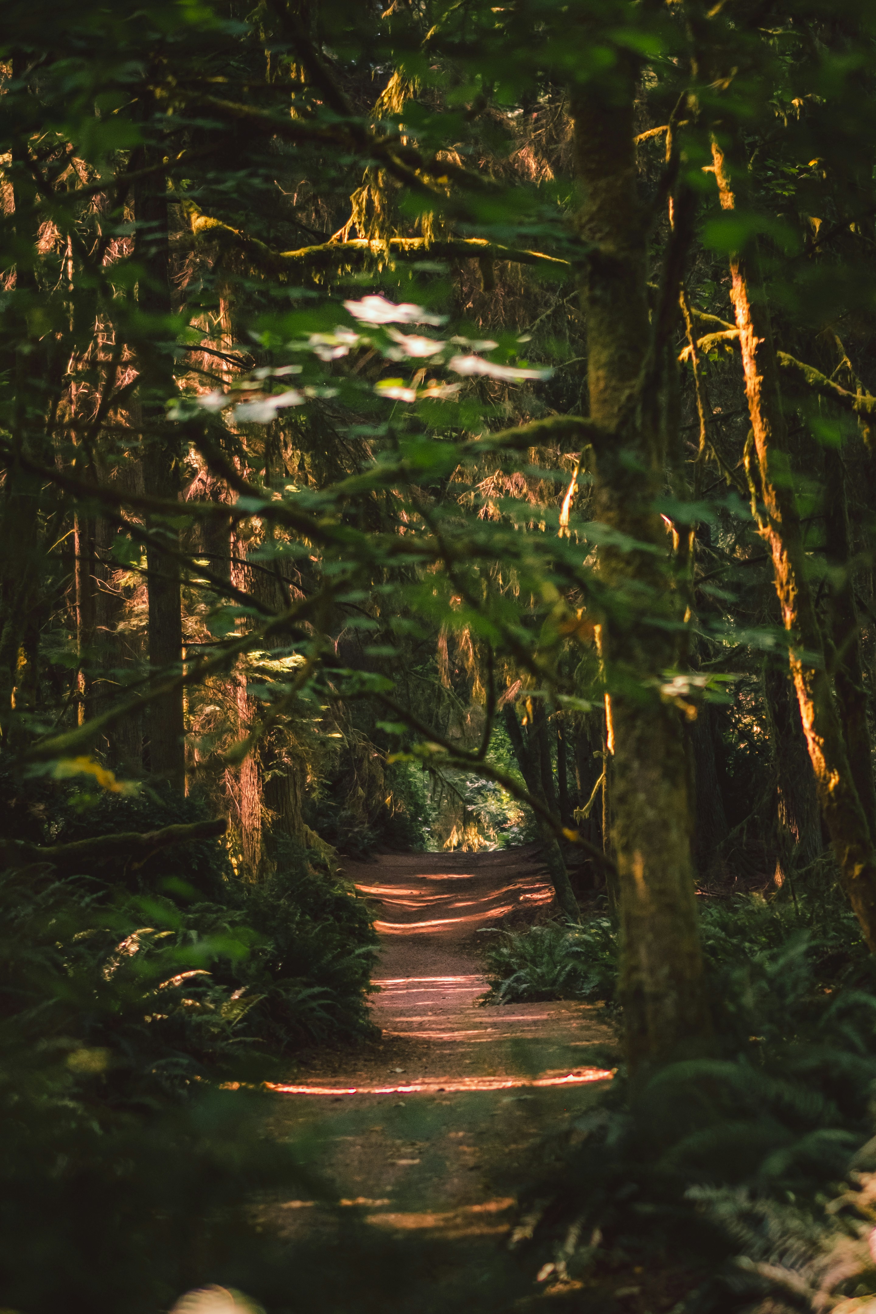 Photo by Kellen Riggin with Fujifilm X-H2