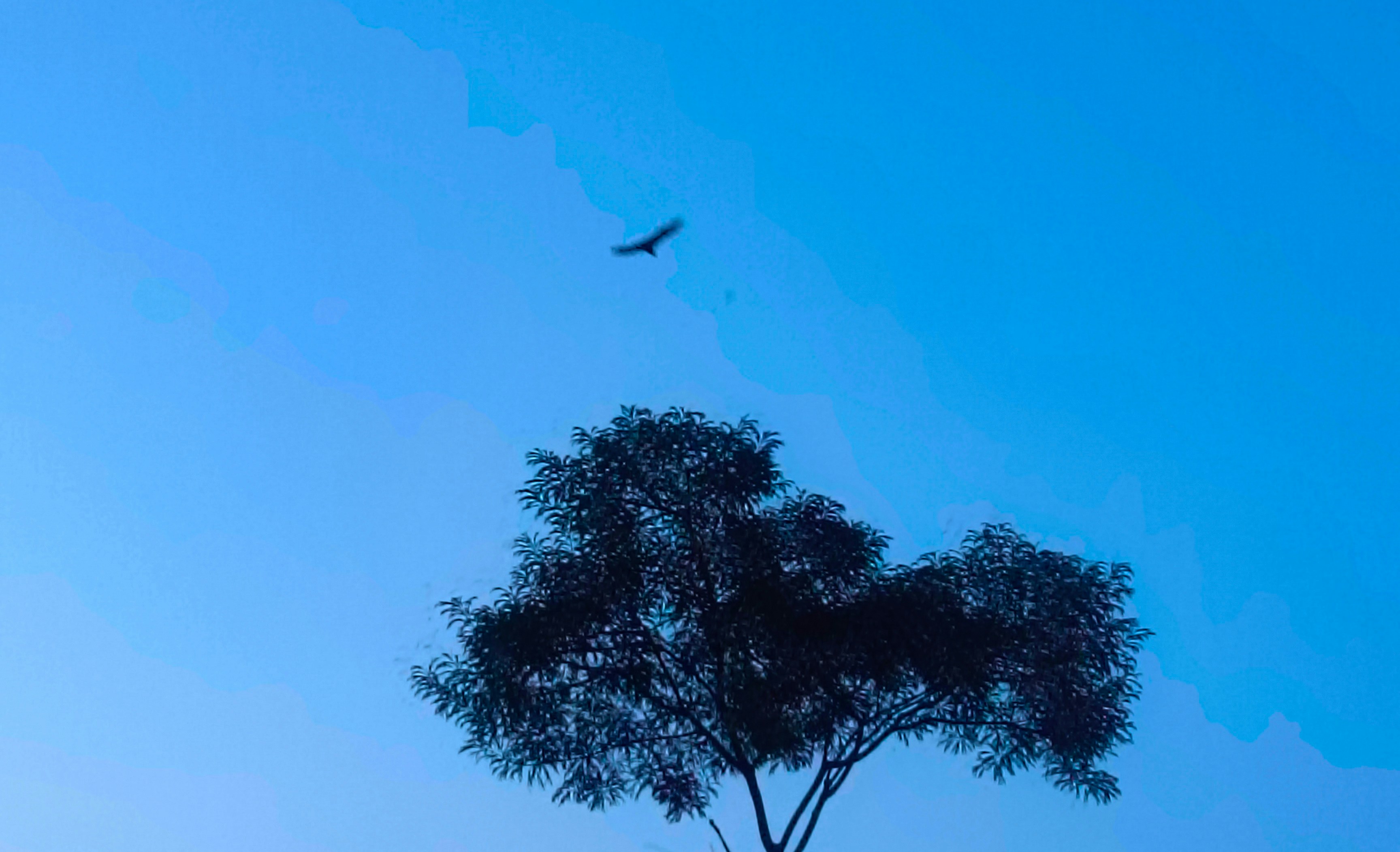 A lone tree silhouette against a blue sky with a small bird in flight; a minimal landscape with emphasis on negative space and clean color gradient.