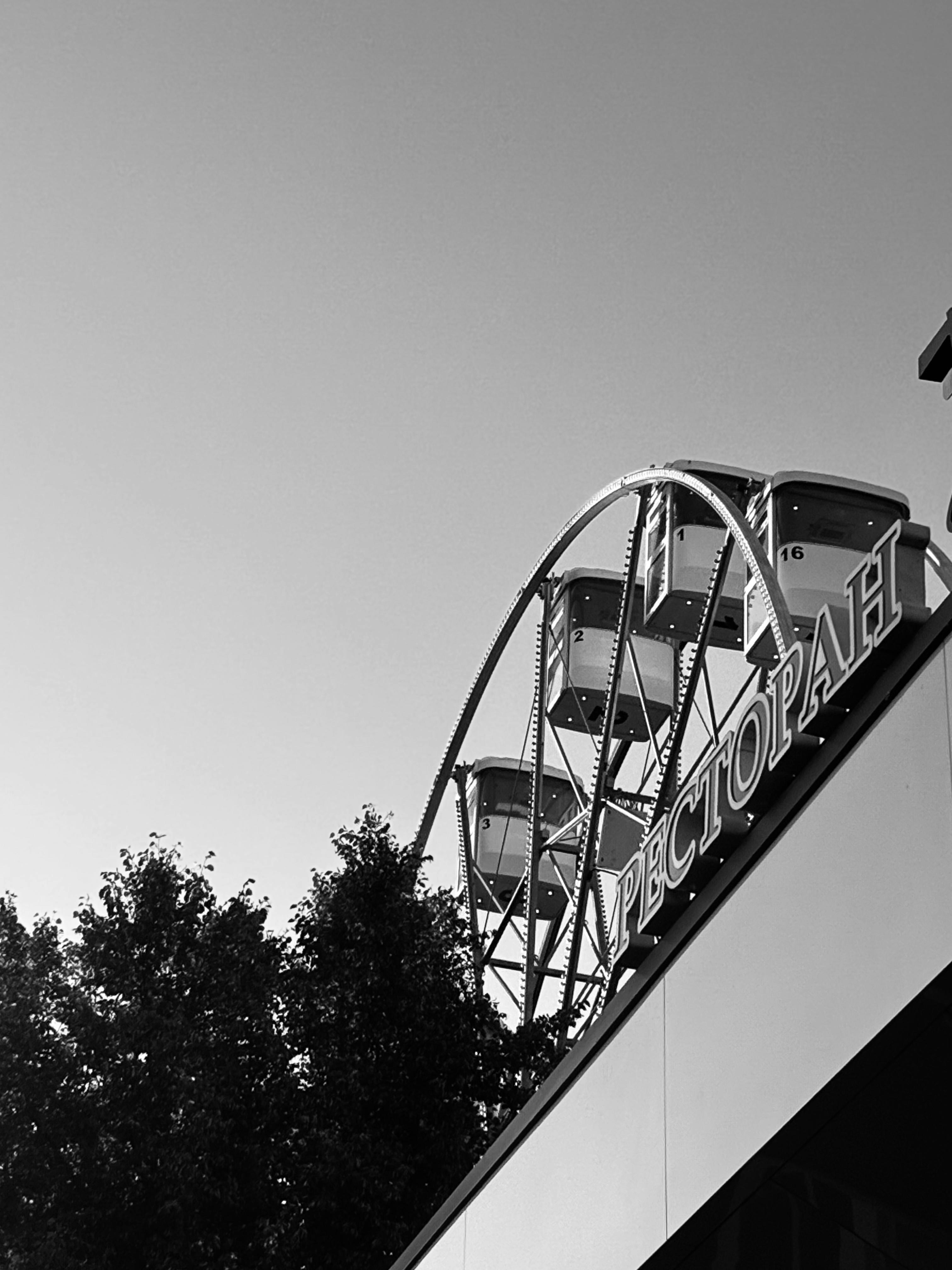 Ferris Wheel Edge: A Monochrome Moment at Sun-Lit Arcade