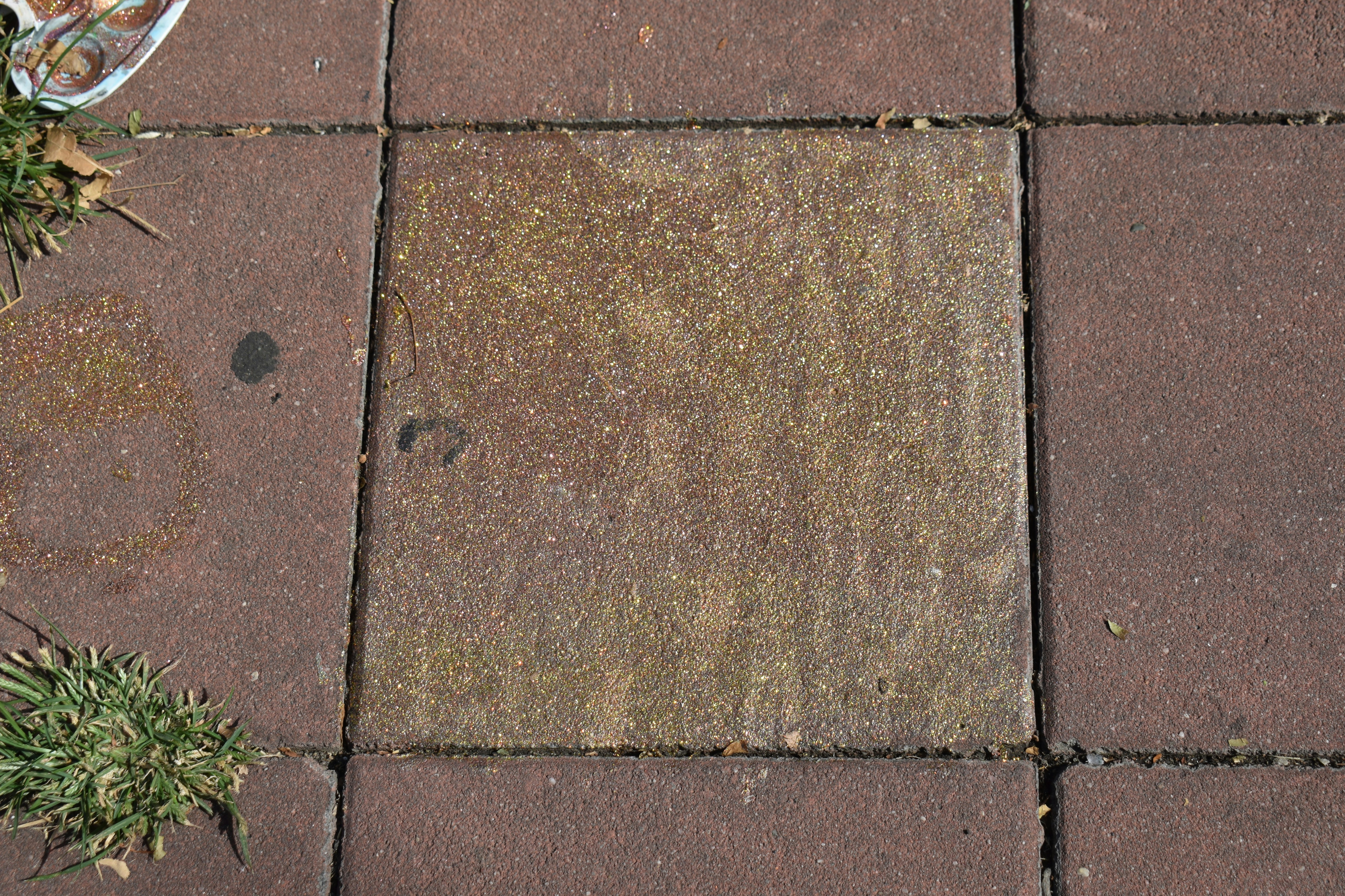 Weathered Tile Canvas: Mossy Patch on a Paving Square