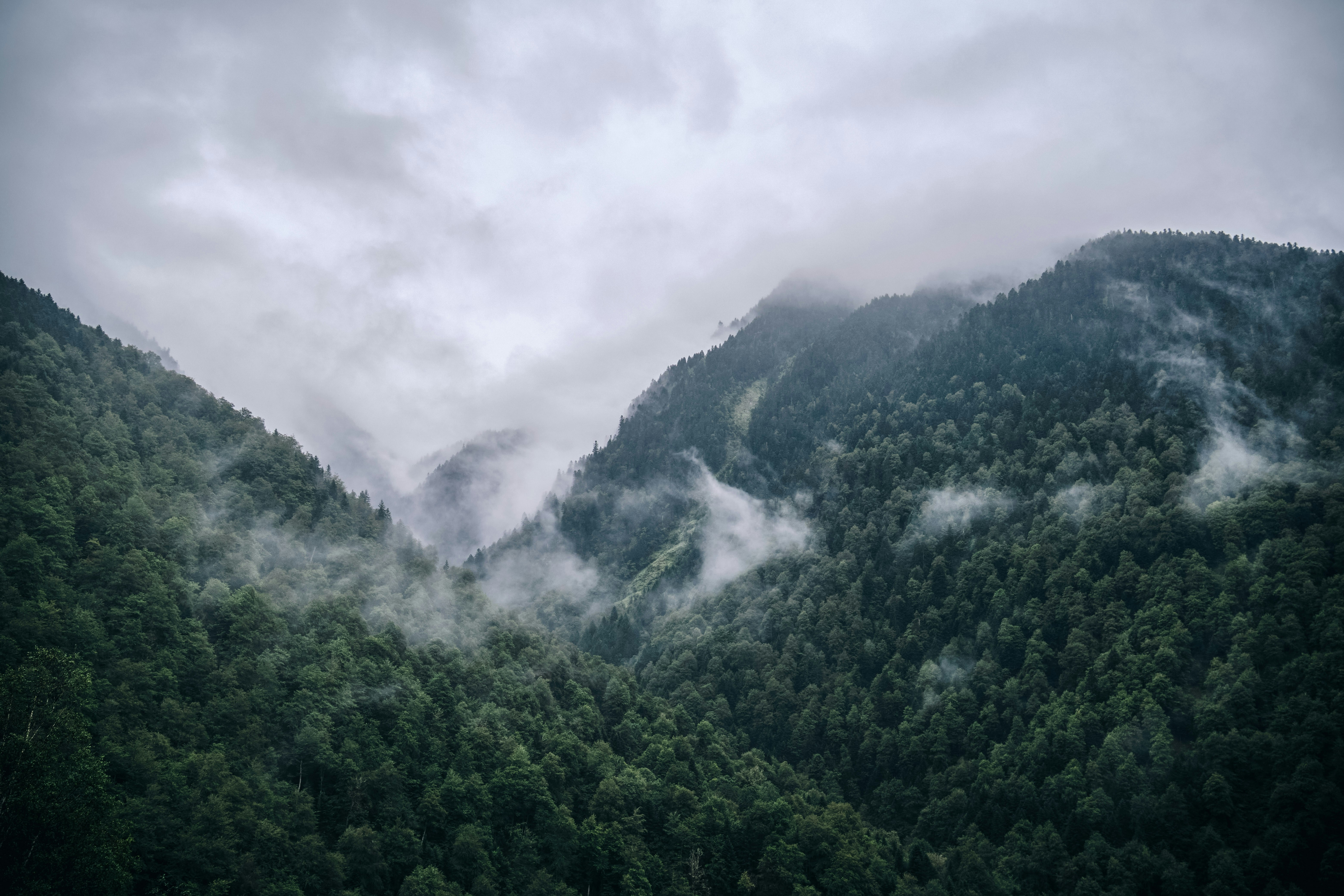 Mist over the Spine: A Quiet Ridge Wrapped in Cloud