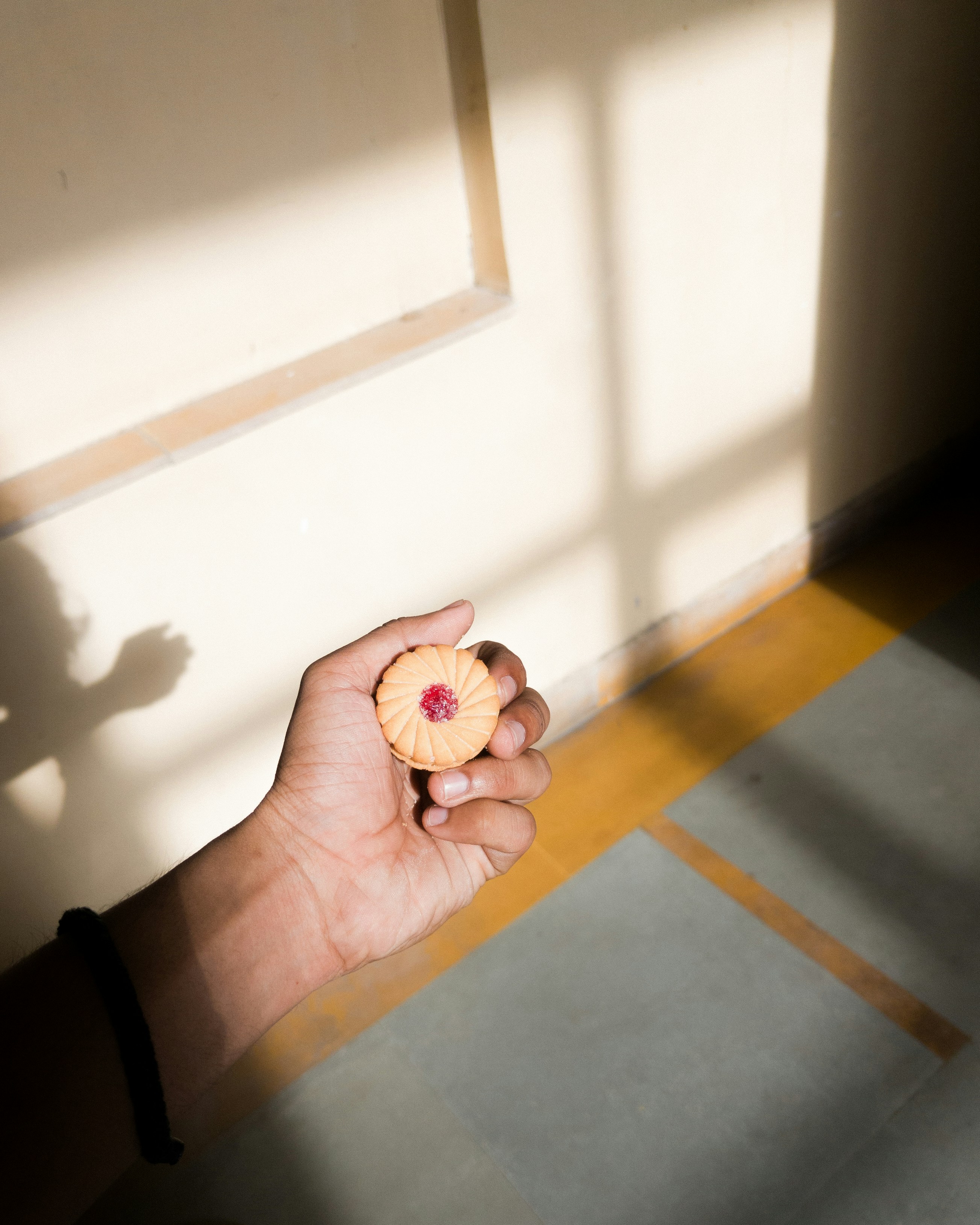 Handheld Cookie: A Sunlit Pinch of Sweetness