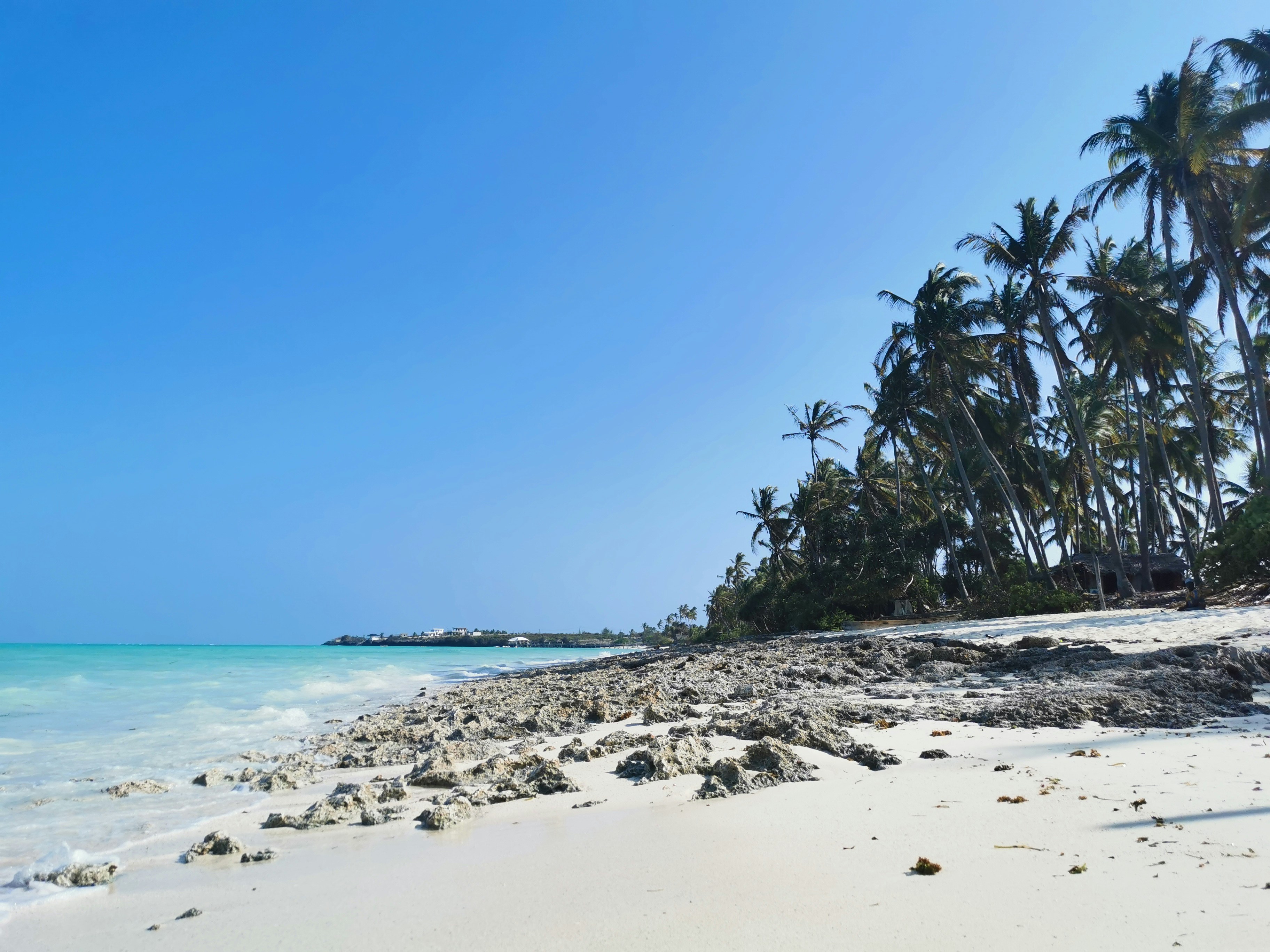 Sunlit tropical beach with white sand, turquoise sea, and a line of palm trees along the shore.