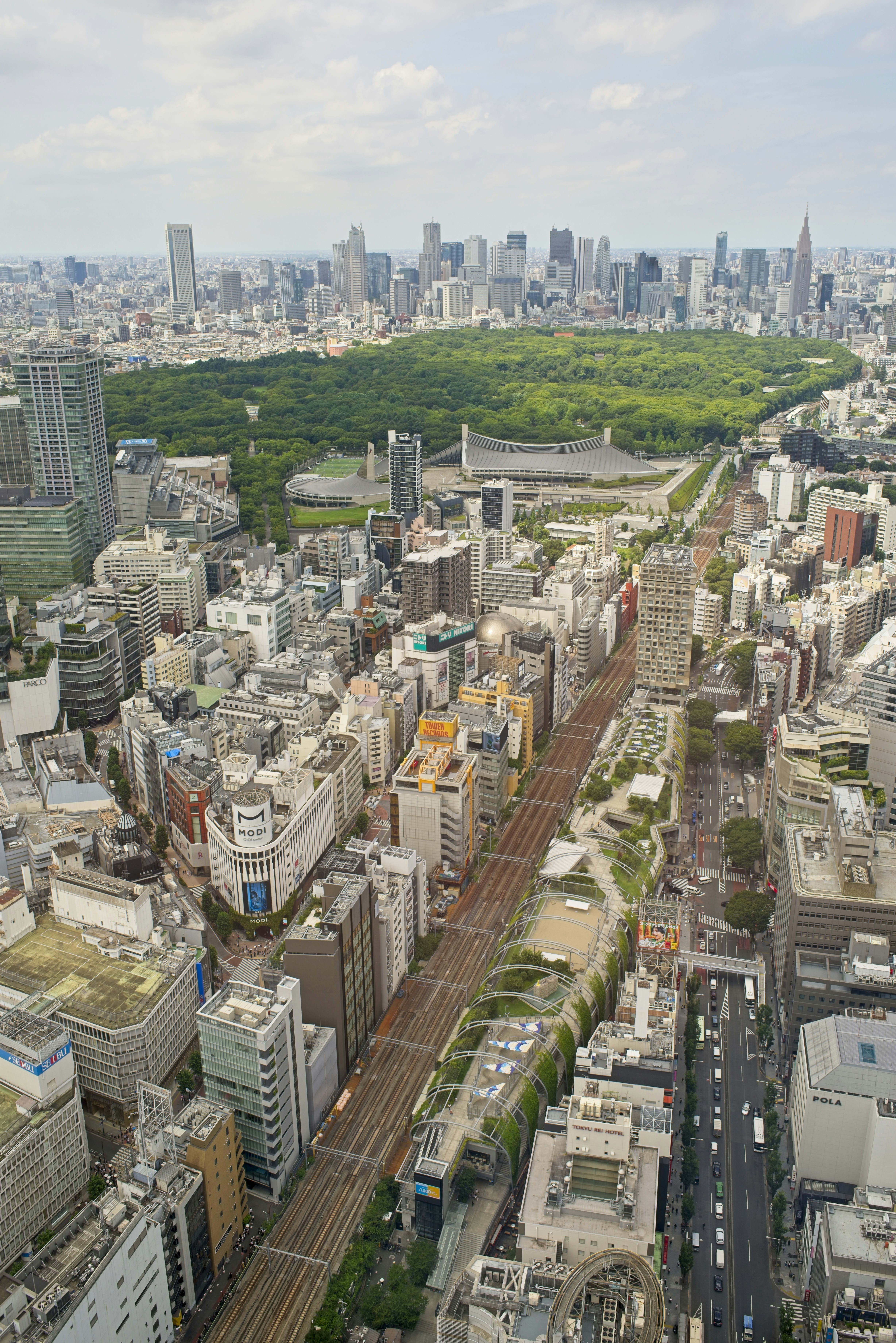 Green Oasis Surrounded by Urban Grids: A Bird’s-Eye Look over a Dense City Park