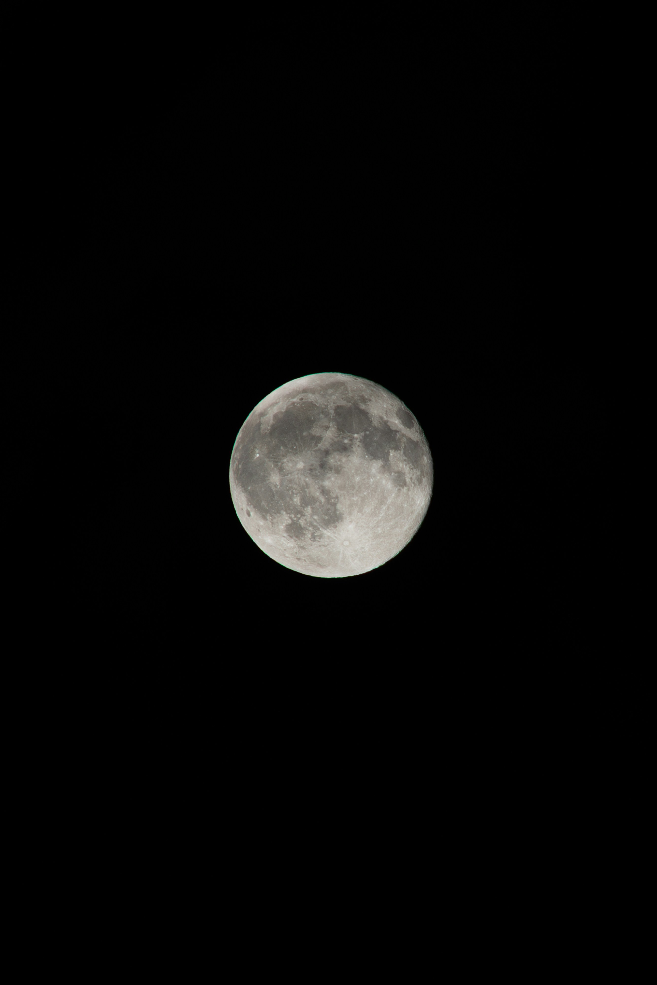 Lunar Silhouette: The Moon Ascends Against a Velvet Night