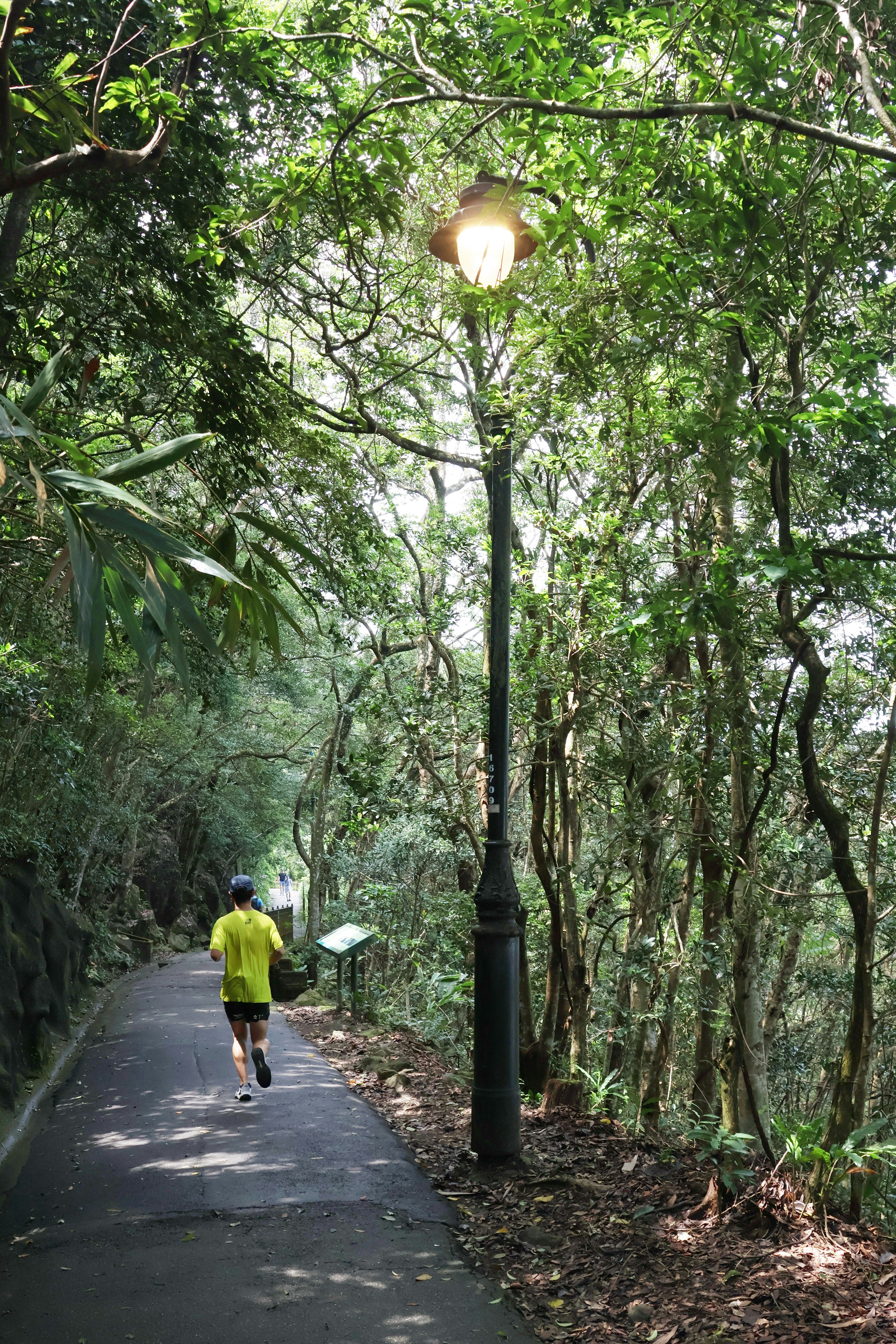 A lone runner in a bright yellow shirt strides along a shaded forest path under a glowing street lamp, surrounded by dense greenery.