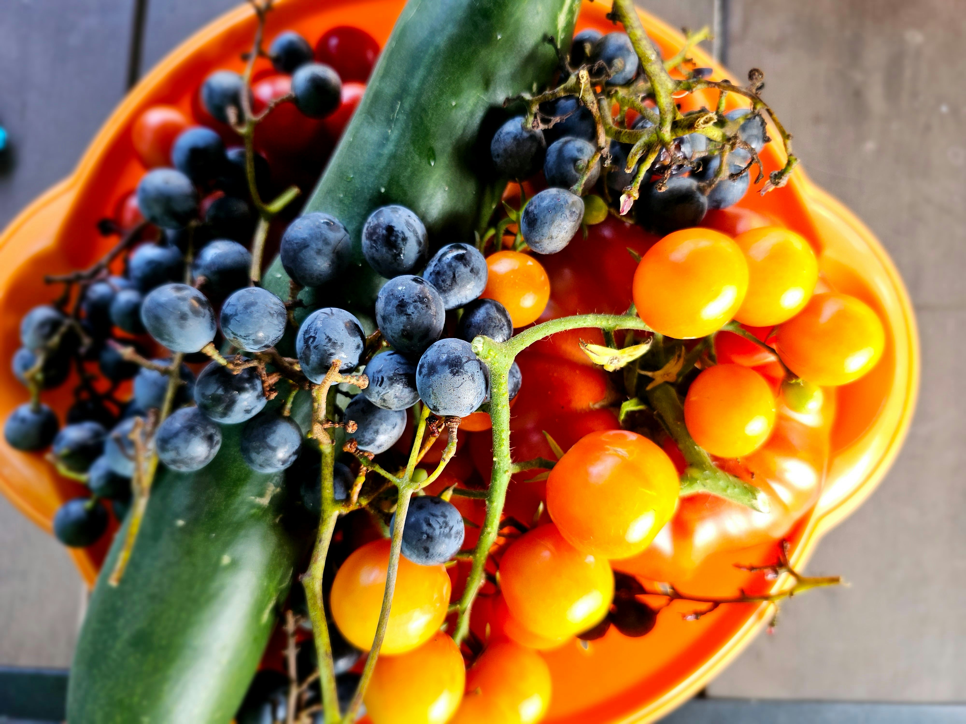 Vibrant Harvest: Grapes, Tomatoes, and Cucumbers in a Sunset Basket