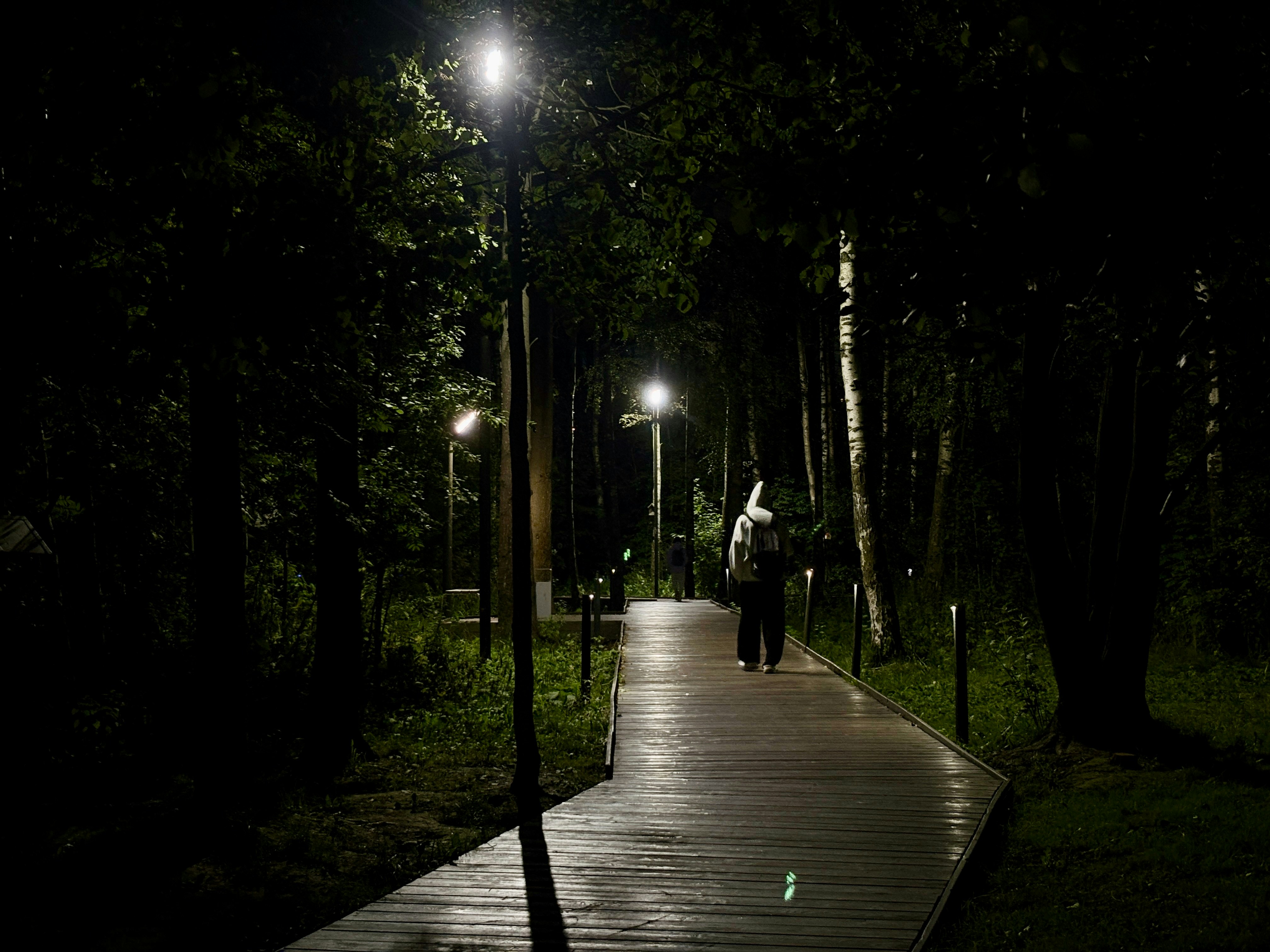 Night Walk on a Gleaming Boardwalk