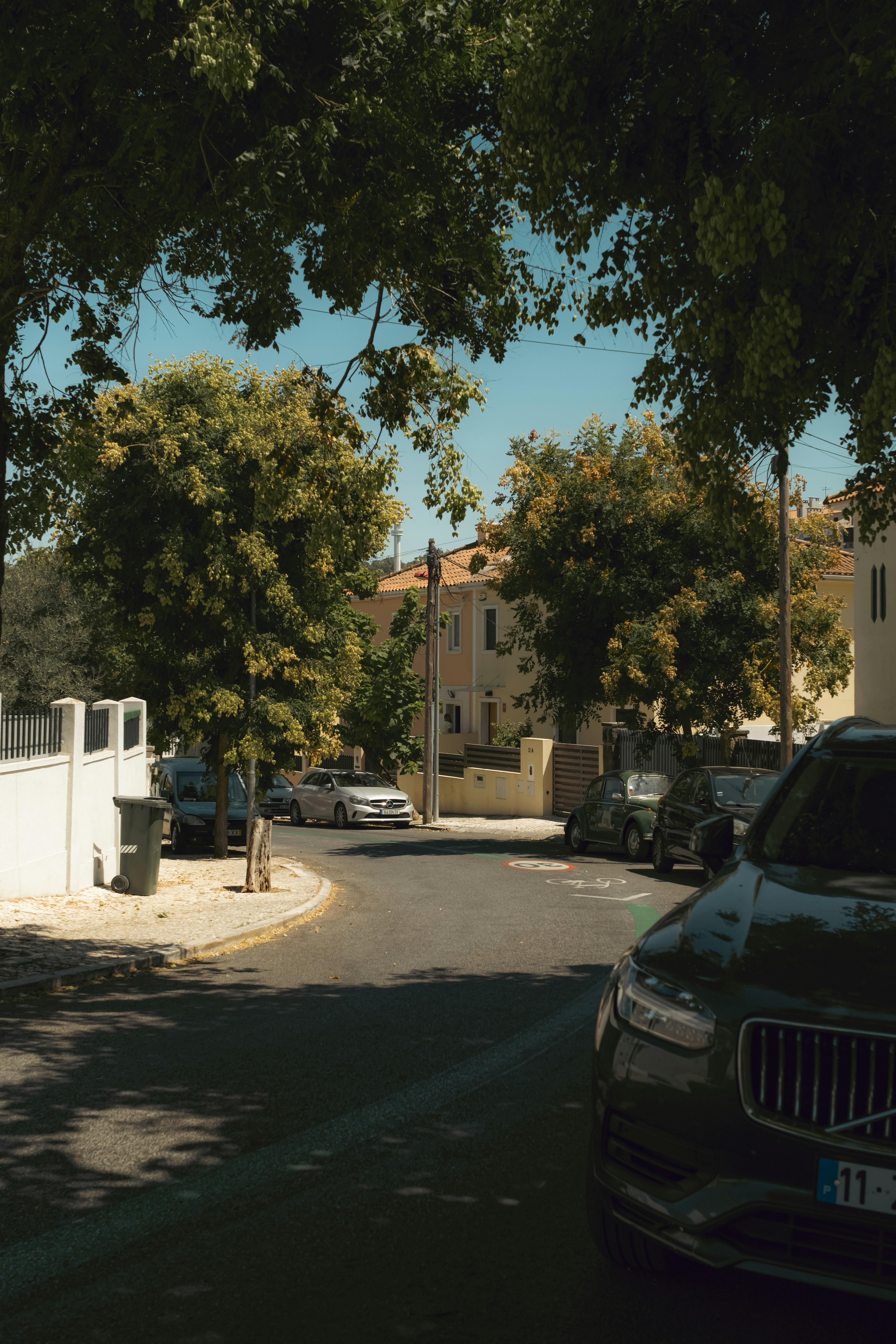 Sunlit Suburban Curve: A Quiet Street Framed by Shade