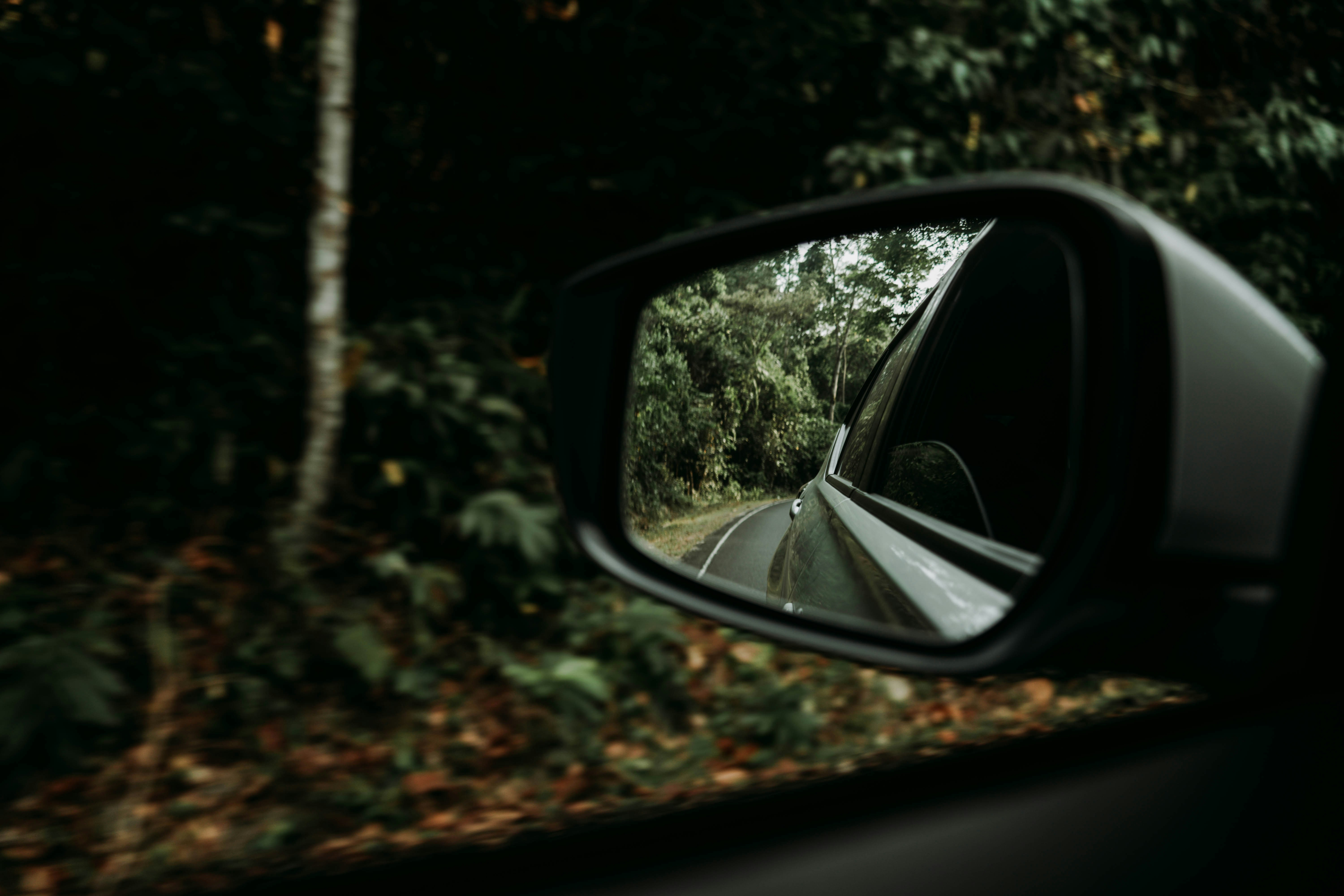 A unique perspective shot taken from inside a car. The vehicle's black side mirror frame is in the foreground, and within the mirror, a clear reflection of a winding asphalt road cutting through a dense, lush tropical forest is visible. The contrast between the dark interior and the bright reflection creates a journey-oriented composition, conveying travel and adventure in nature.