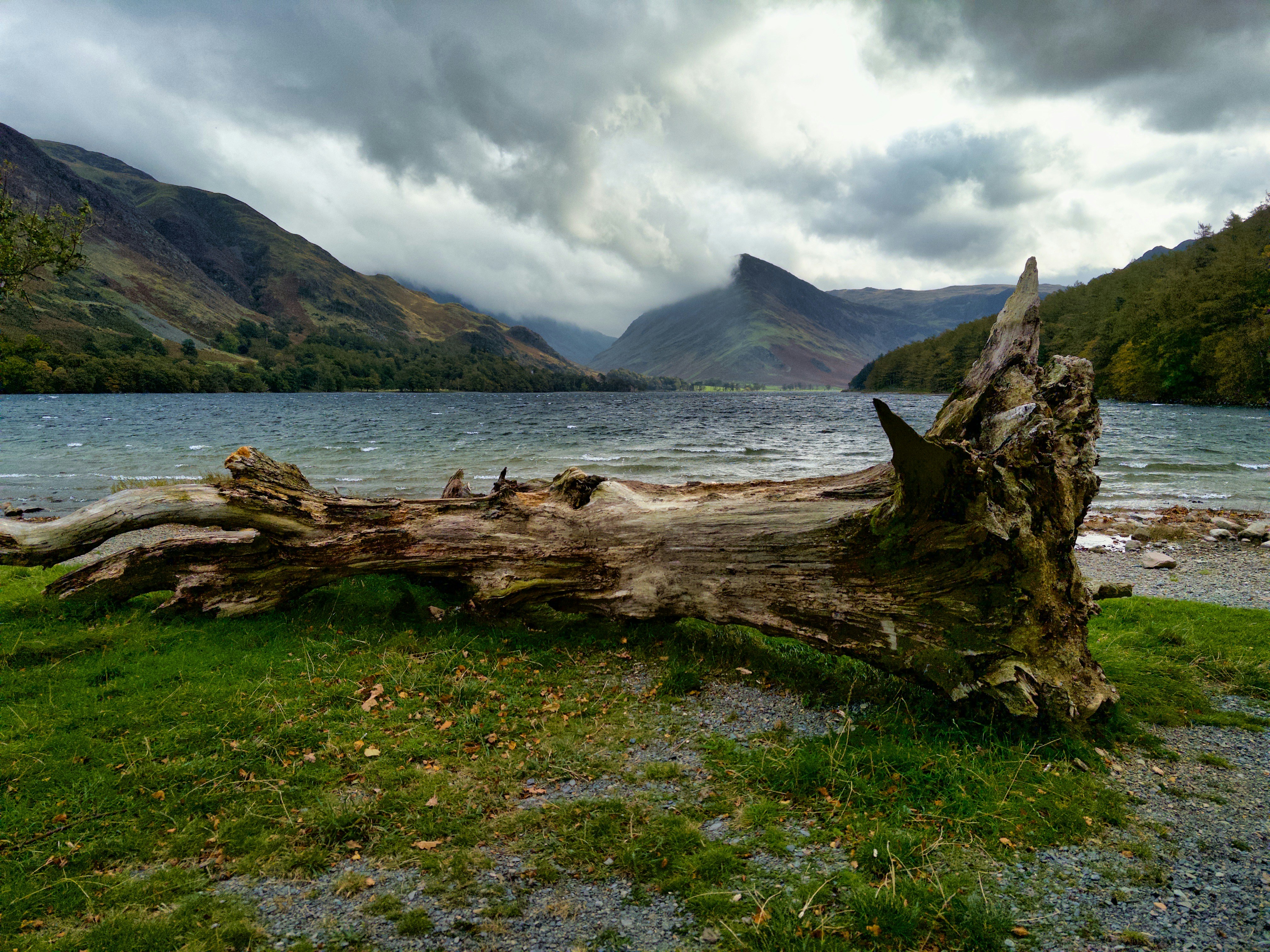 A weathered log rests along a grassy lakeshore with mountains and cloudy skies in the distance. The scene captures a tranquil, moody landscape with textured foreground and calm water, emphasizing natural decay and terrain.