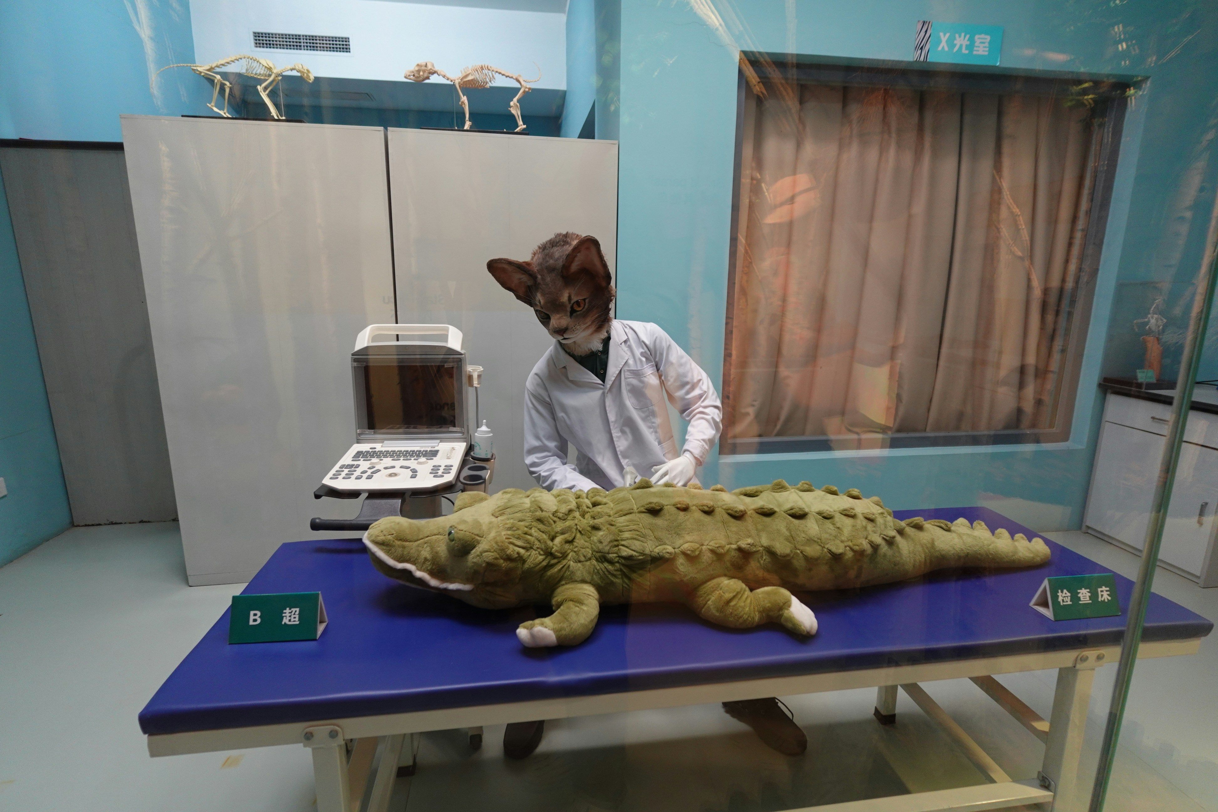 Feigned Doctor: A Kin to the Crocodile’s Keeper