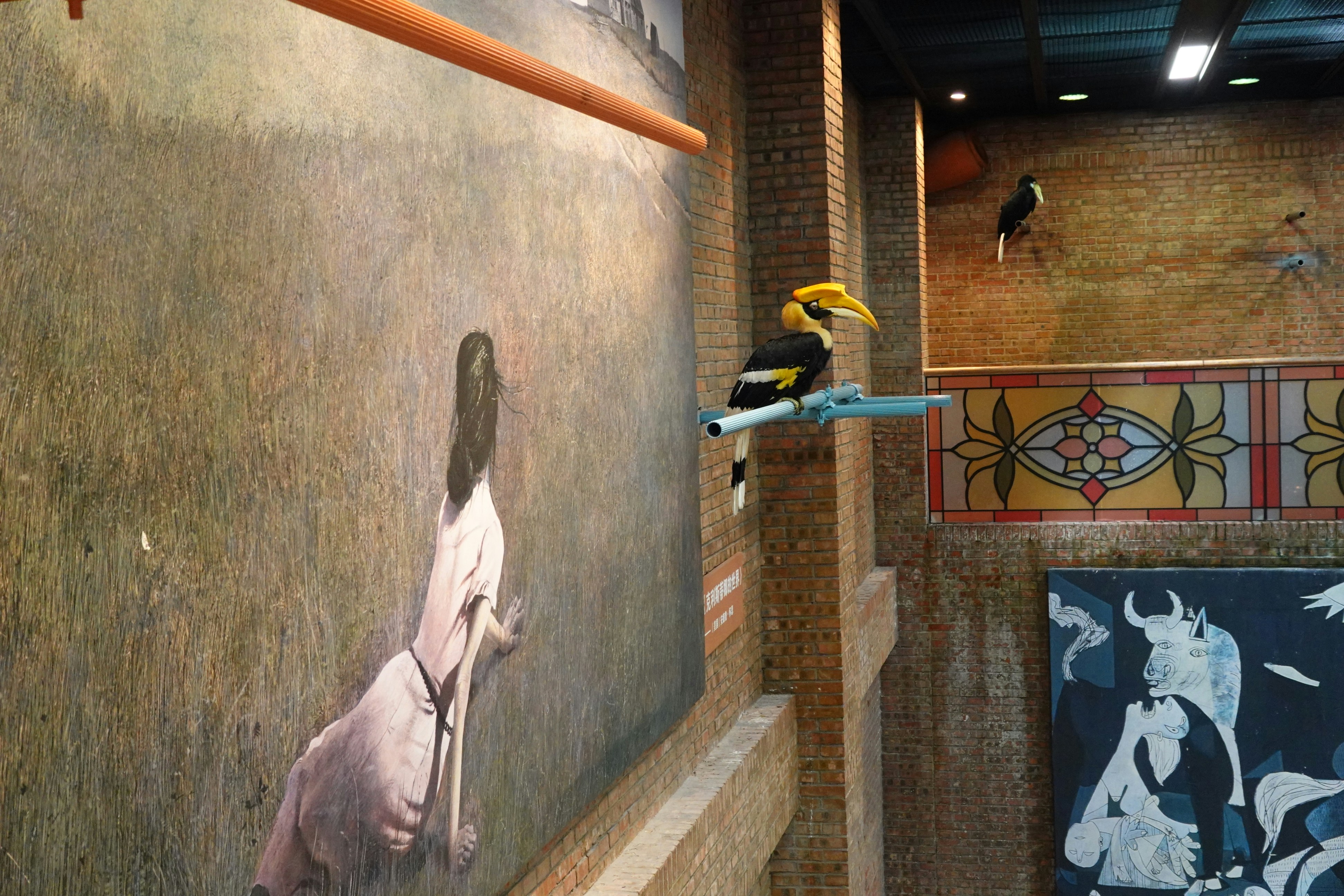 Apex of Color: A toucan perched among rustic murals
