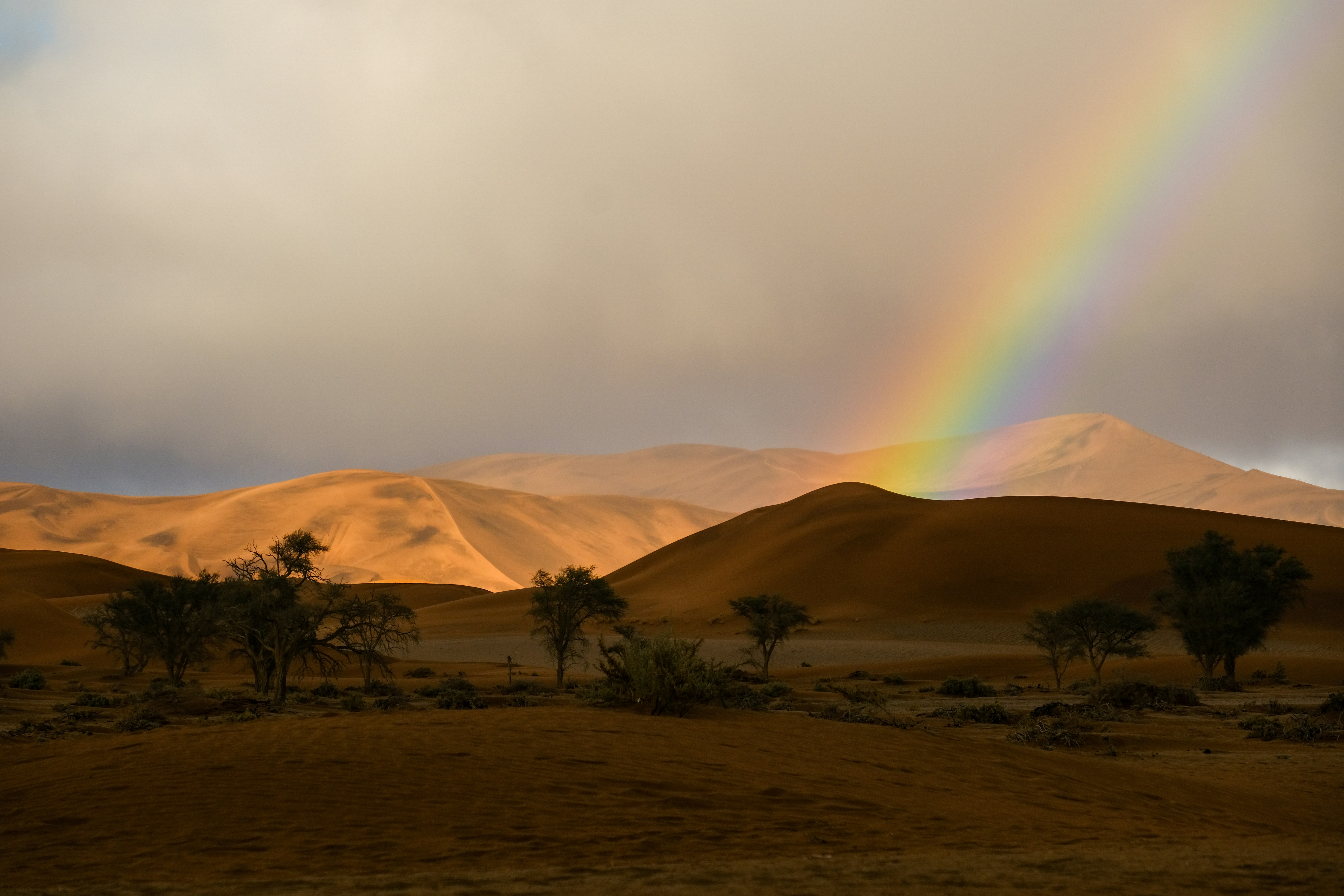 Desert Dunes Under a Veiled Rainbow