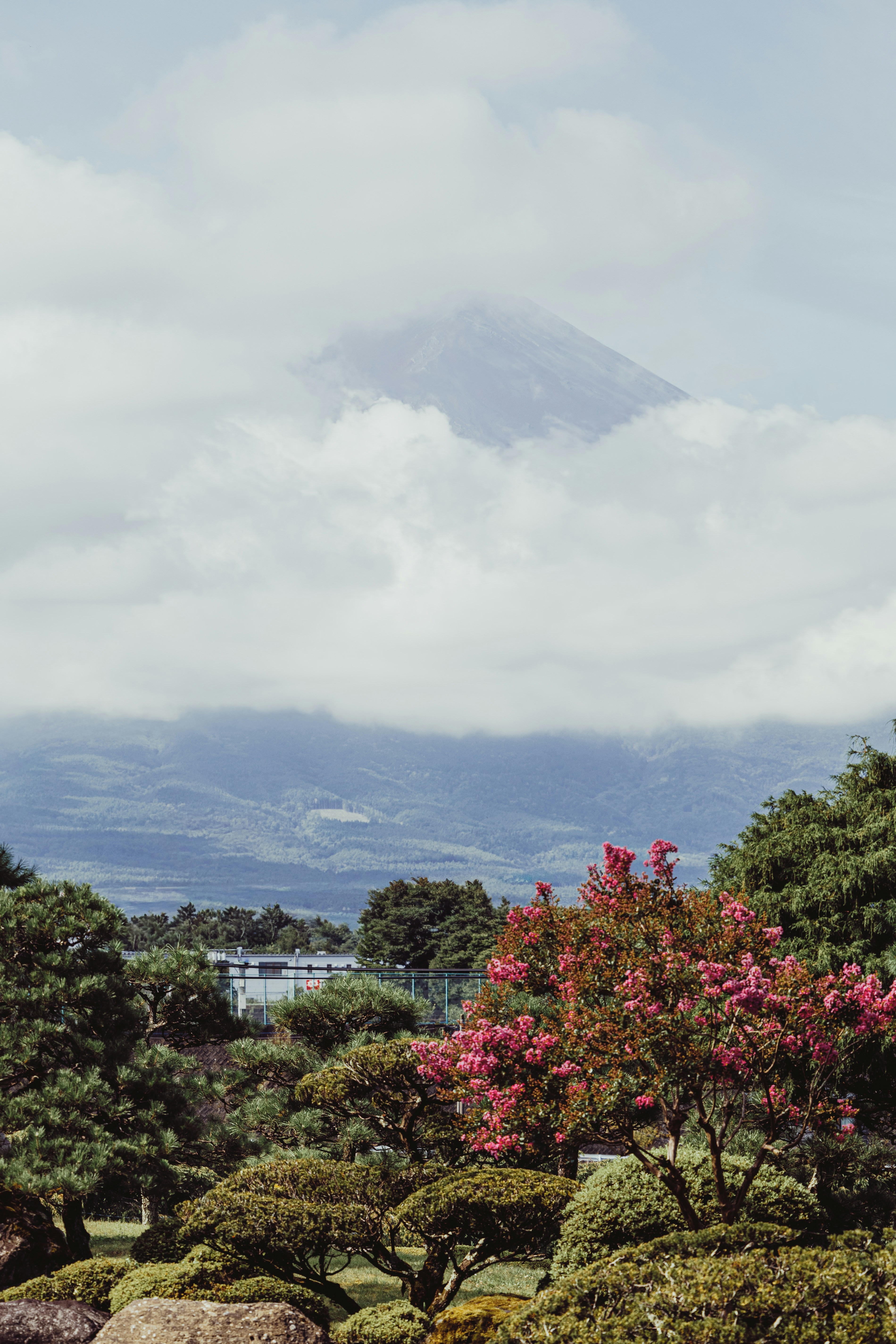 Japan photo shot on Canon EOS R6 Mark II