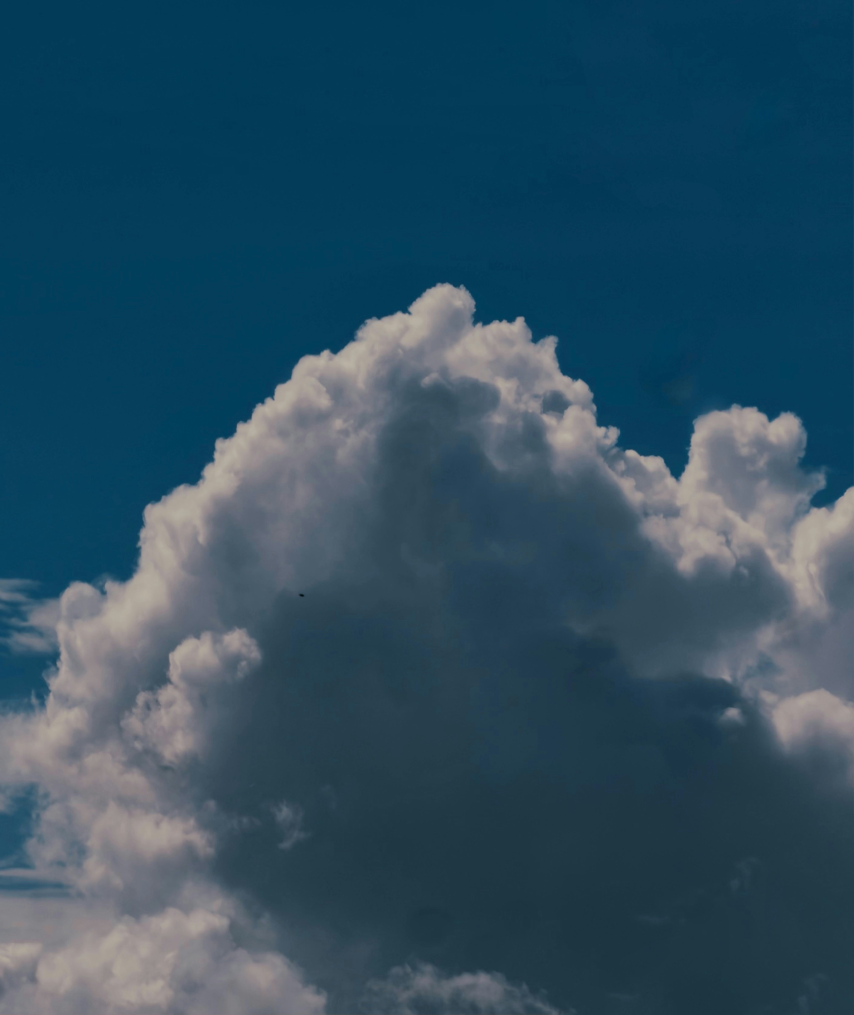 A towering cumulus crown against a deep summer sky