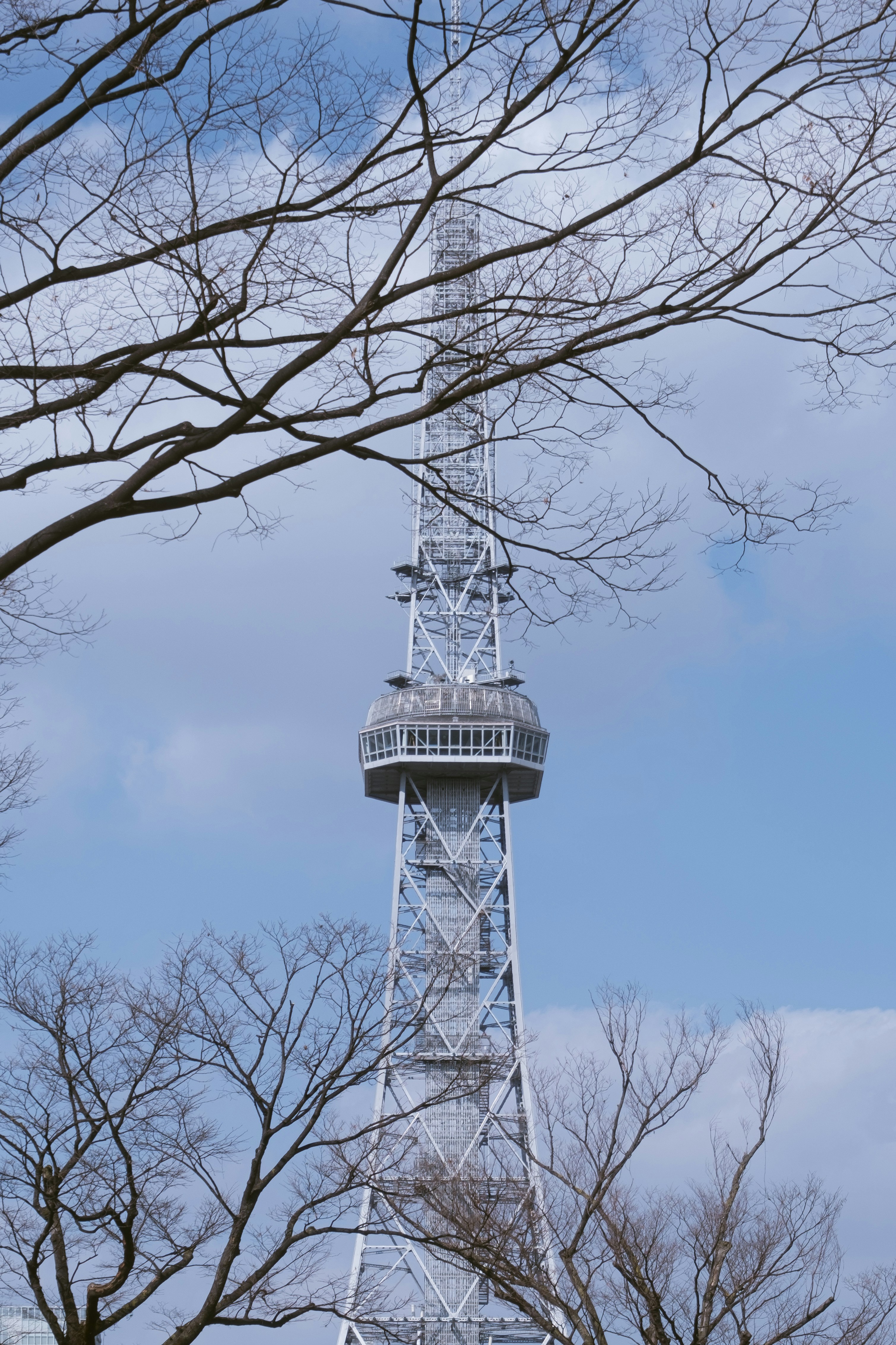 Tokyo Tower Piercing a Winter Sky