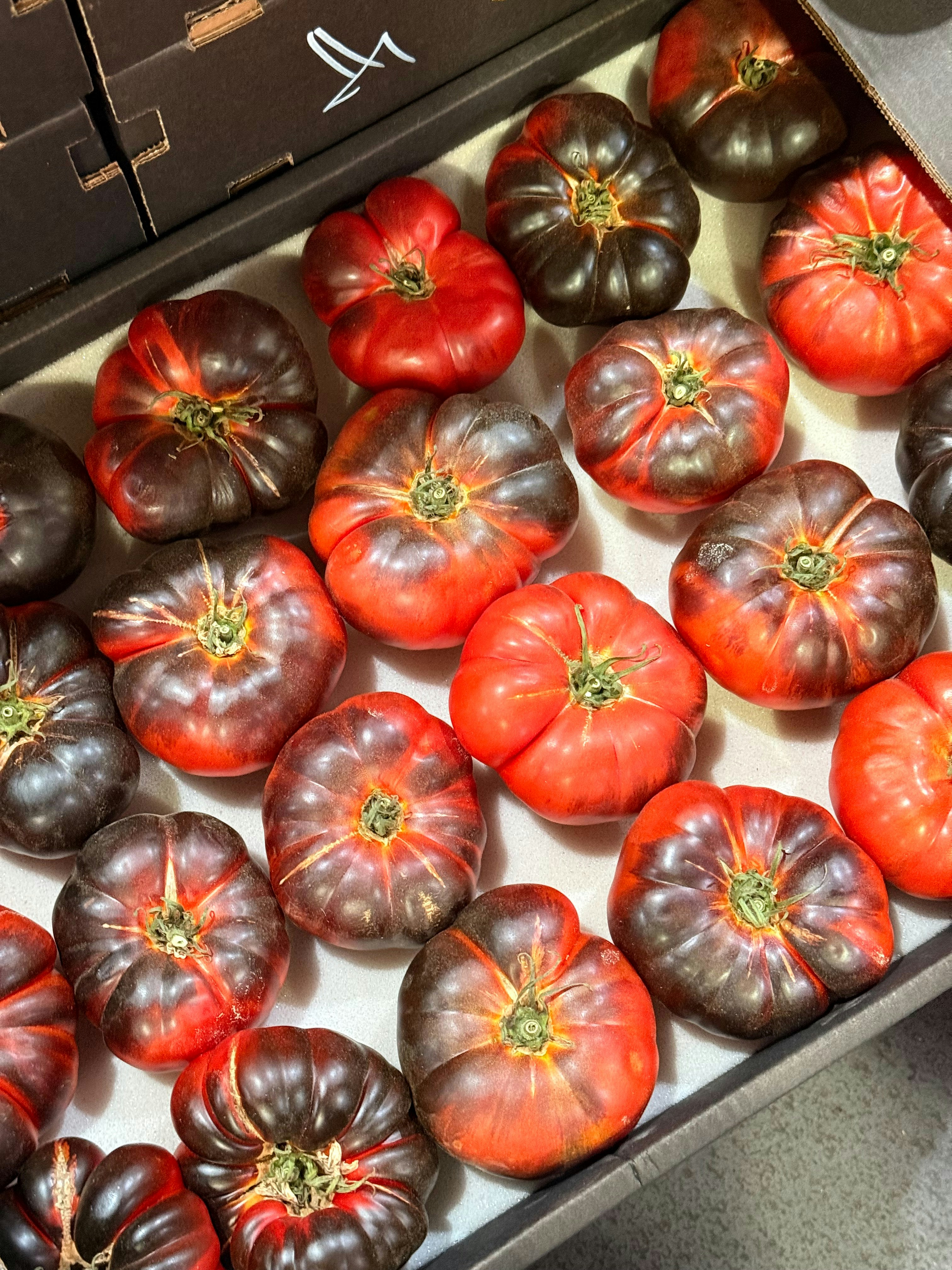 Vibrant red and dark heirloom tomatoes arranged in a crate, showcasing a mix of ripening colors and textures.