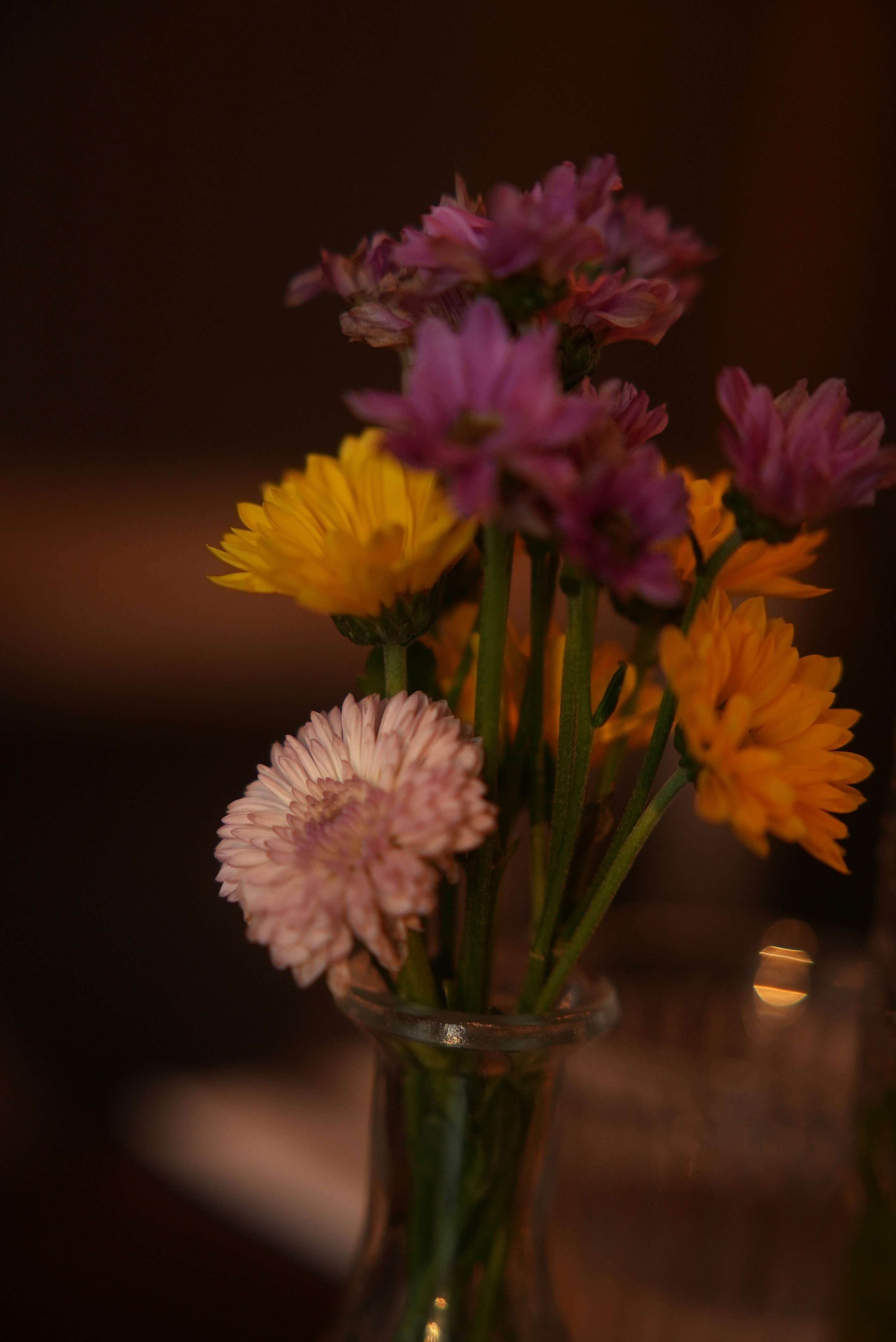Floral Echoes in Soft Evening Light