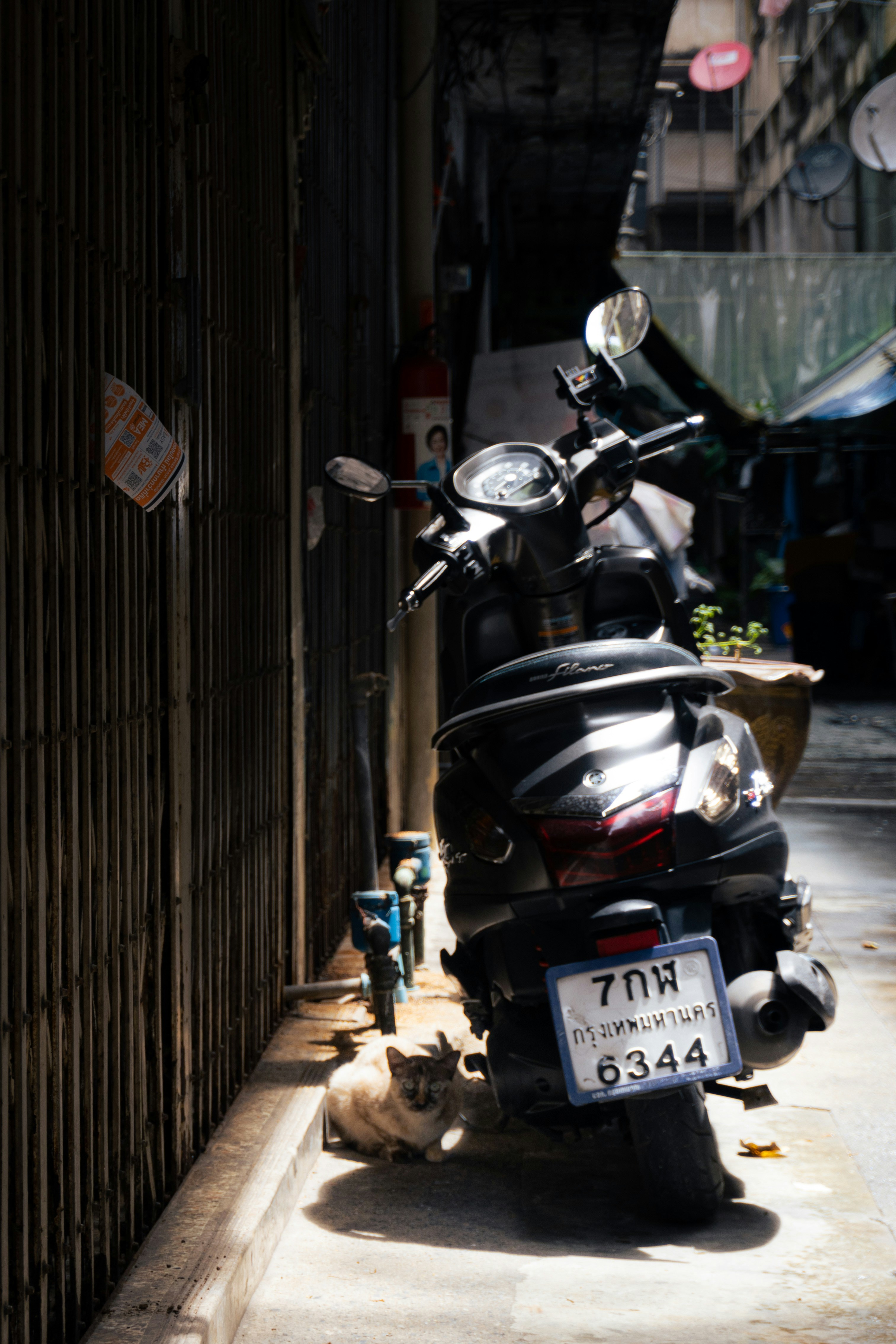 Scooter Quietly Guarding an Alleyway