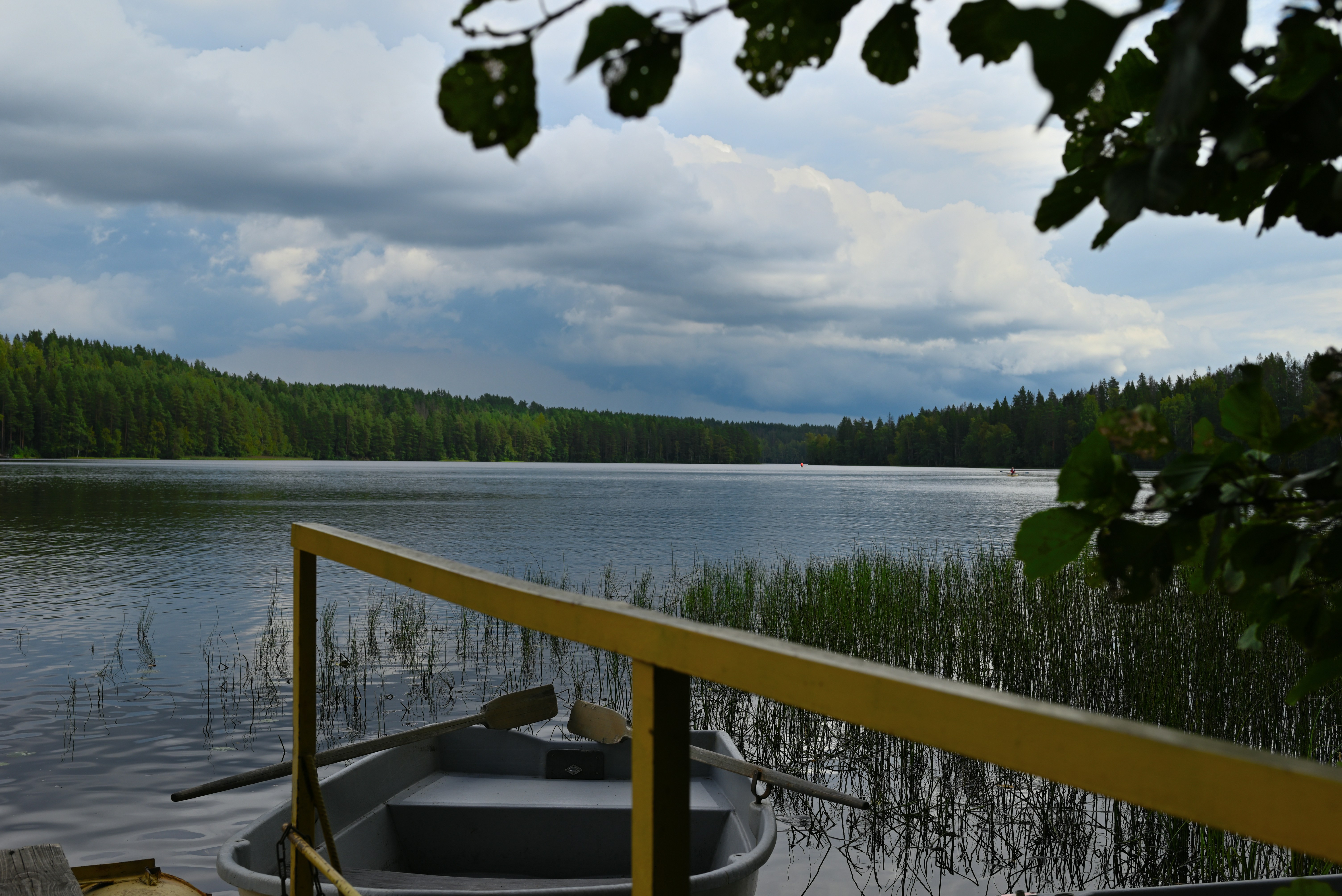 Stillness at the Dock: A Quiet Lakeside Moment