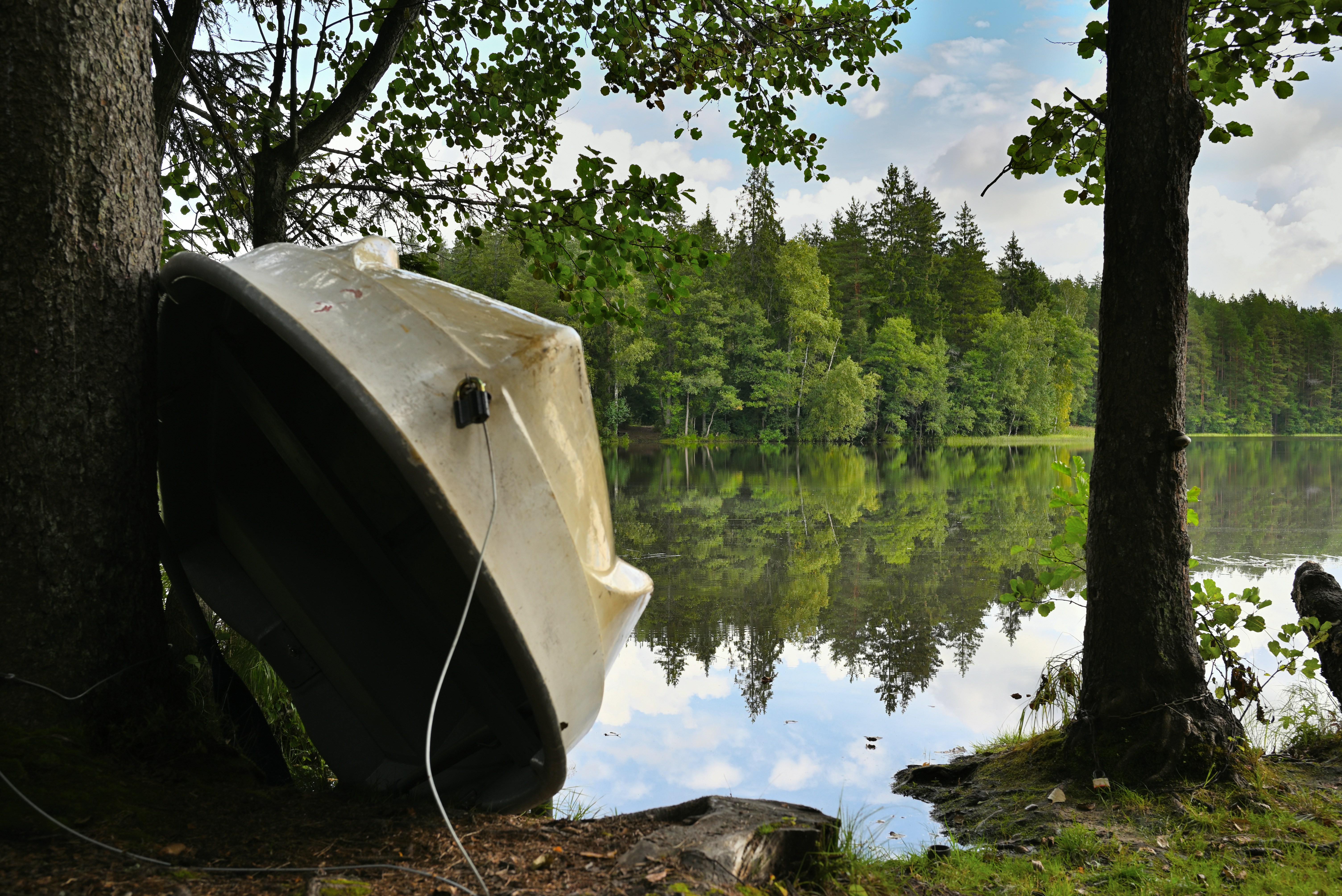 Sunk Boat by the Lake: A Quiet Tangle of Wood and Water
