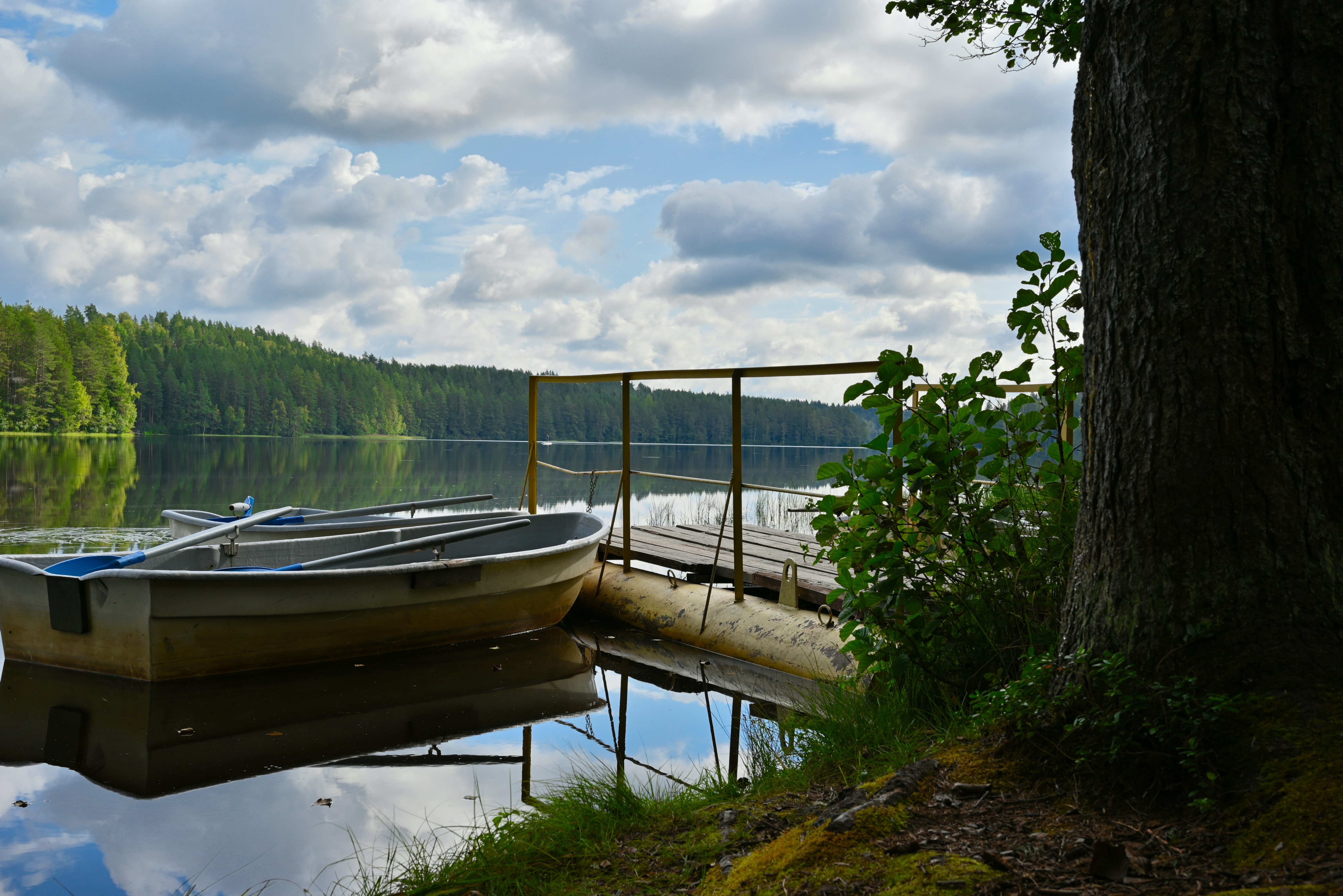 Boat Dock at the Edge of a Quiet Lake