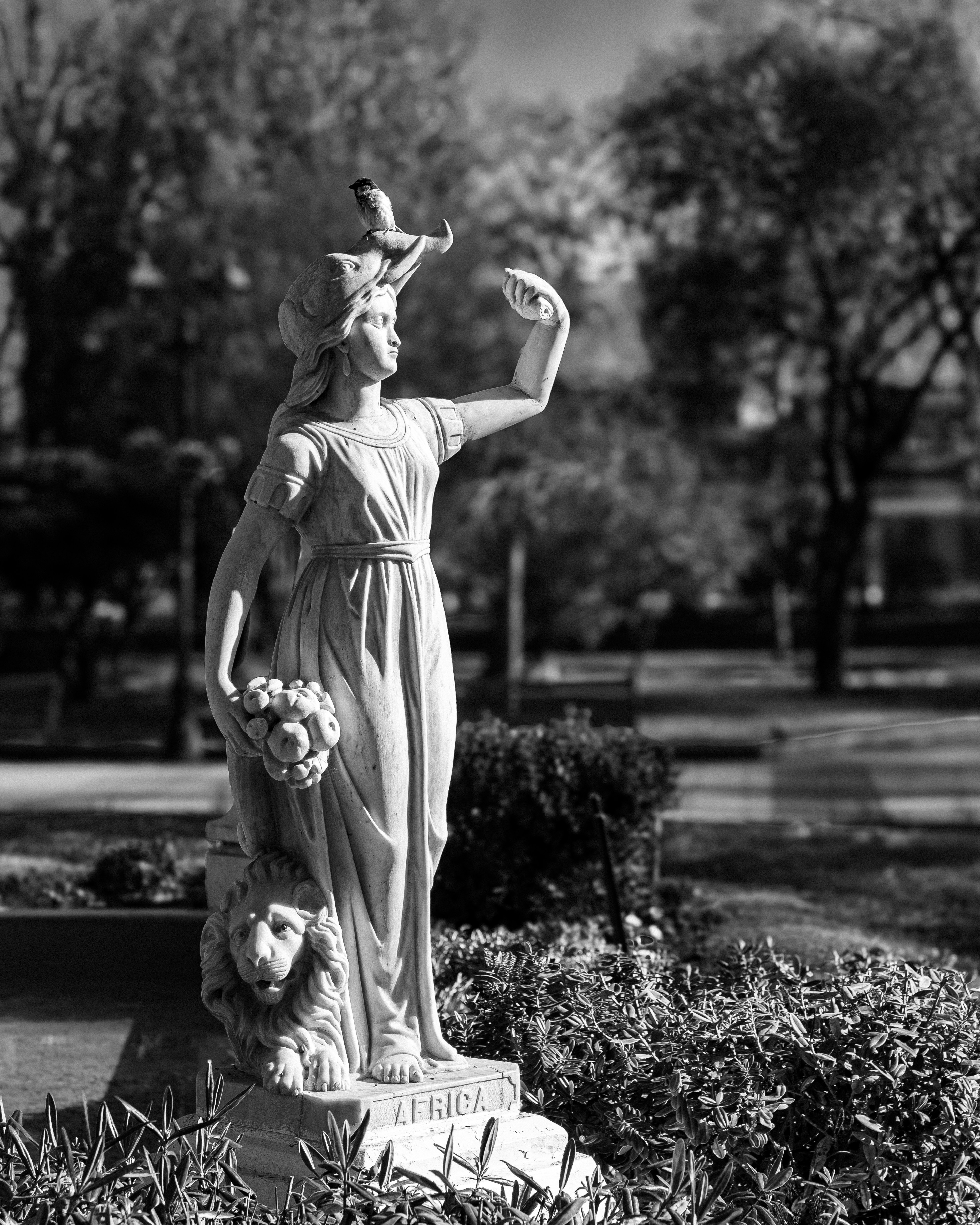 A Statue of Guidance: Arboreal Shadows and a Lifting Gesture