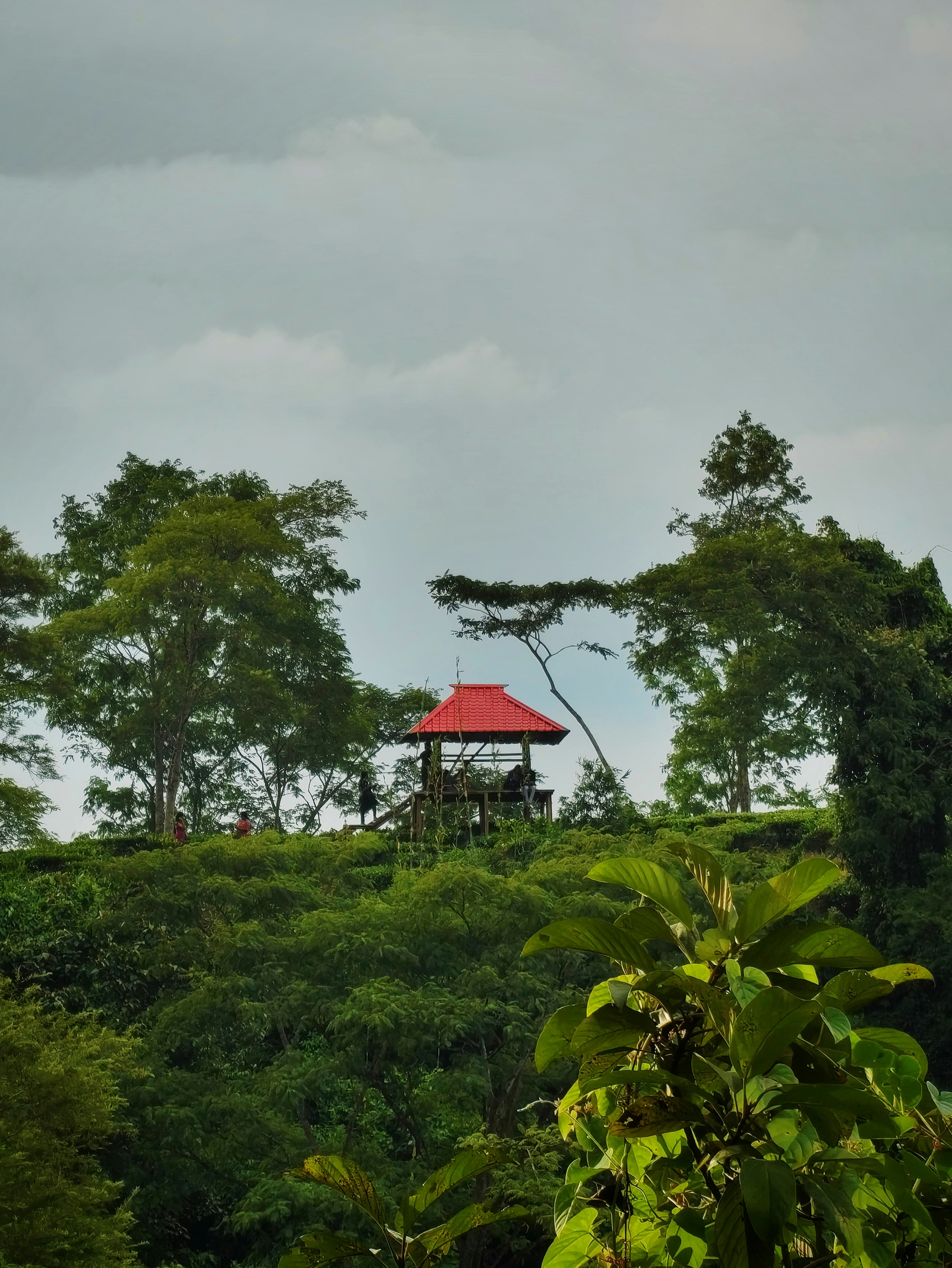 Red-roofed pavilion perched above emerald terraces