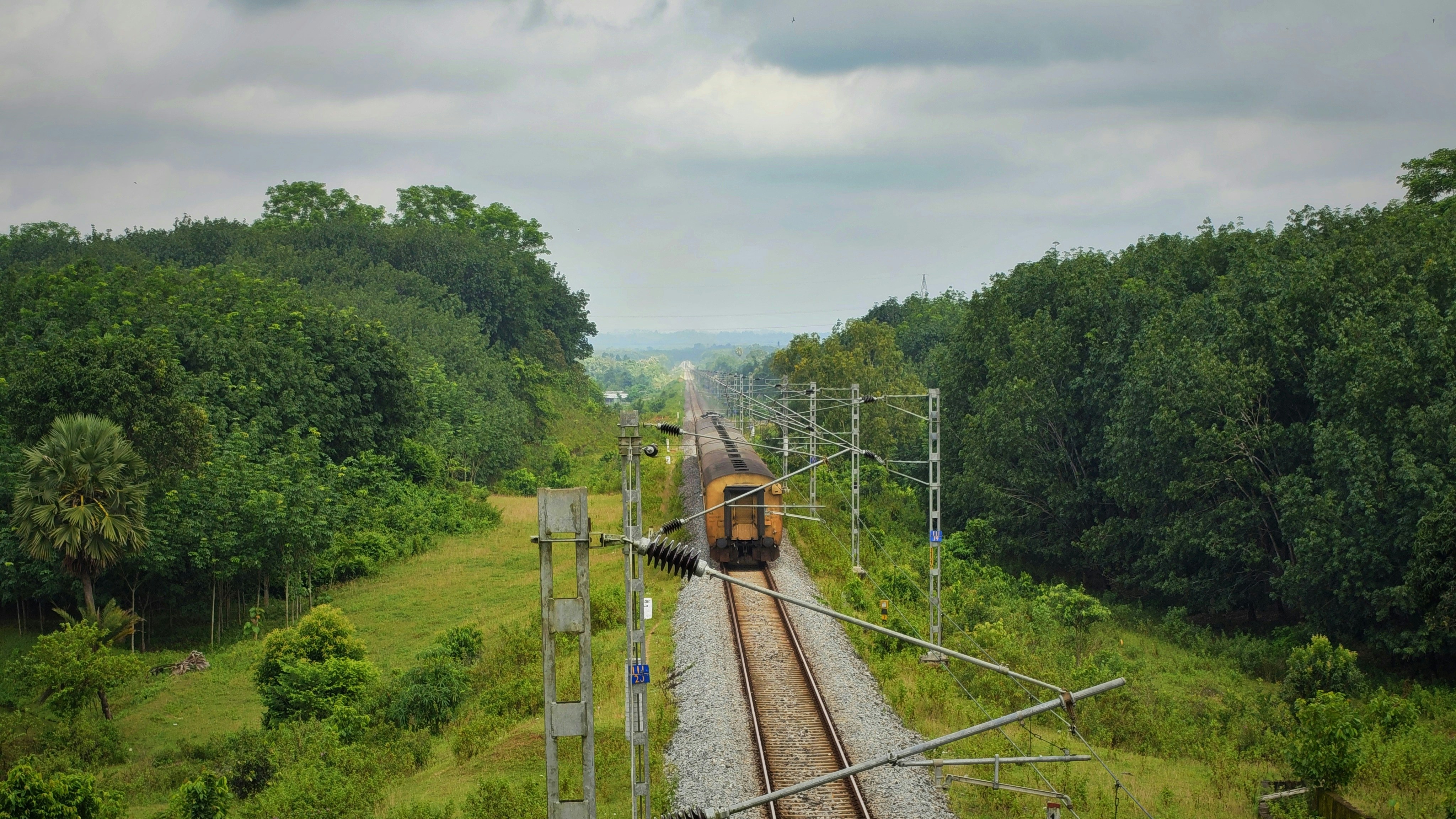 Diesel train travels along a sunken track flanked by dense green forests under a cloudy sky.