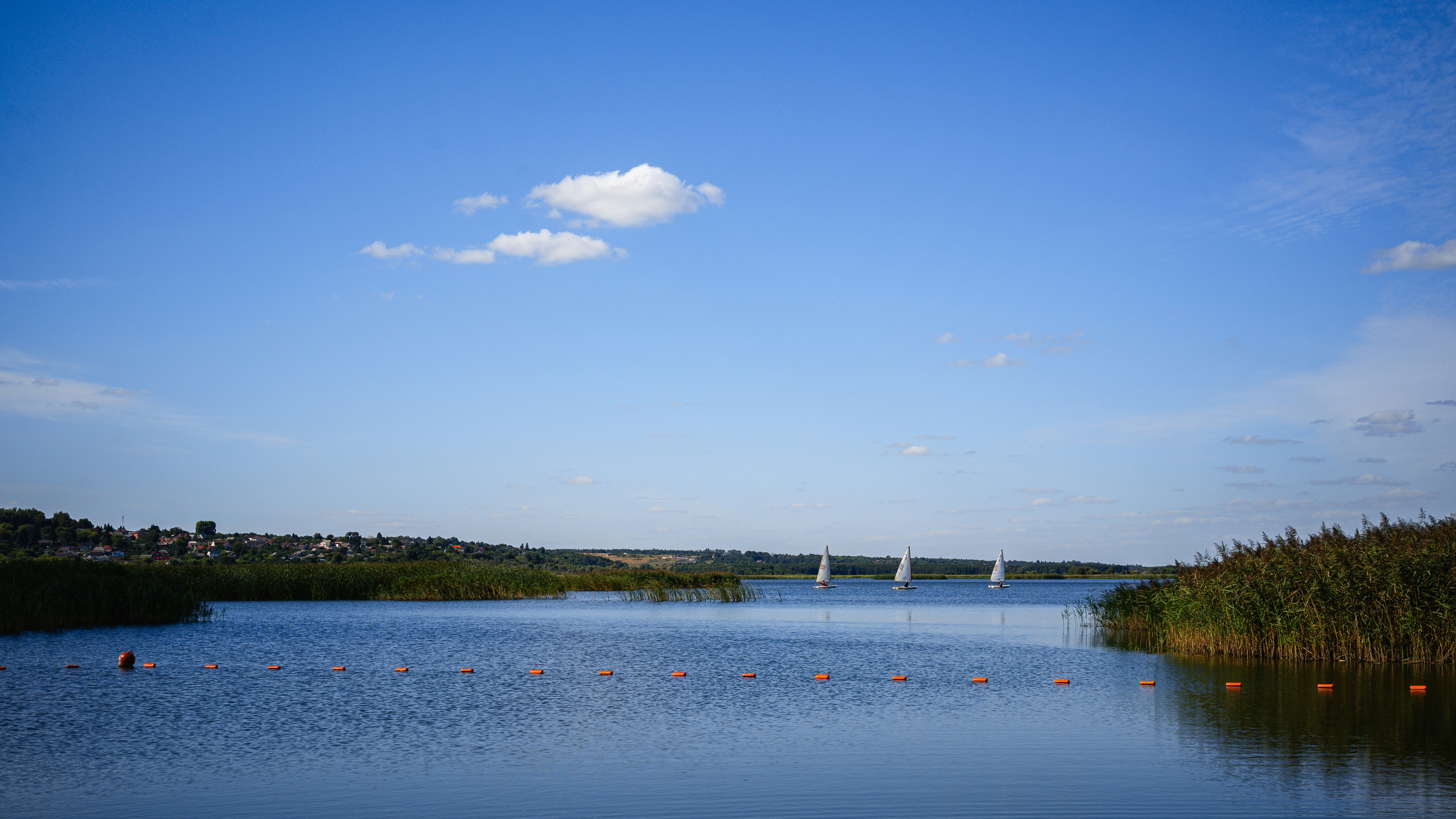 Serene Lakeside Horizon with Sailboats