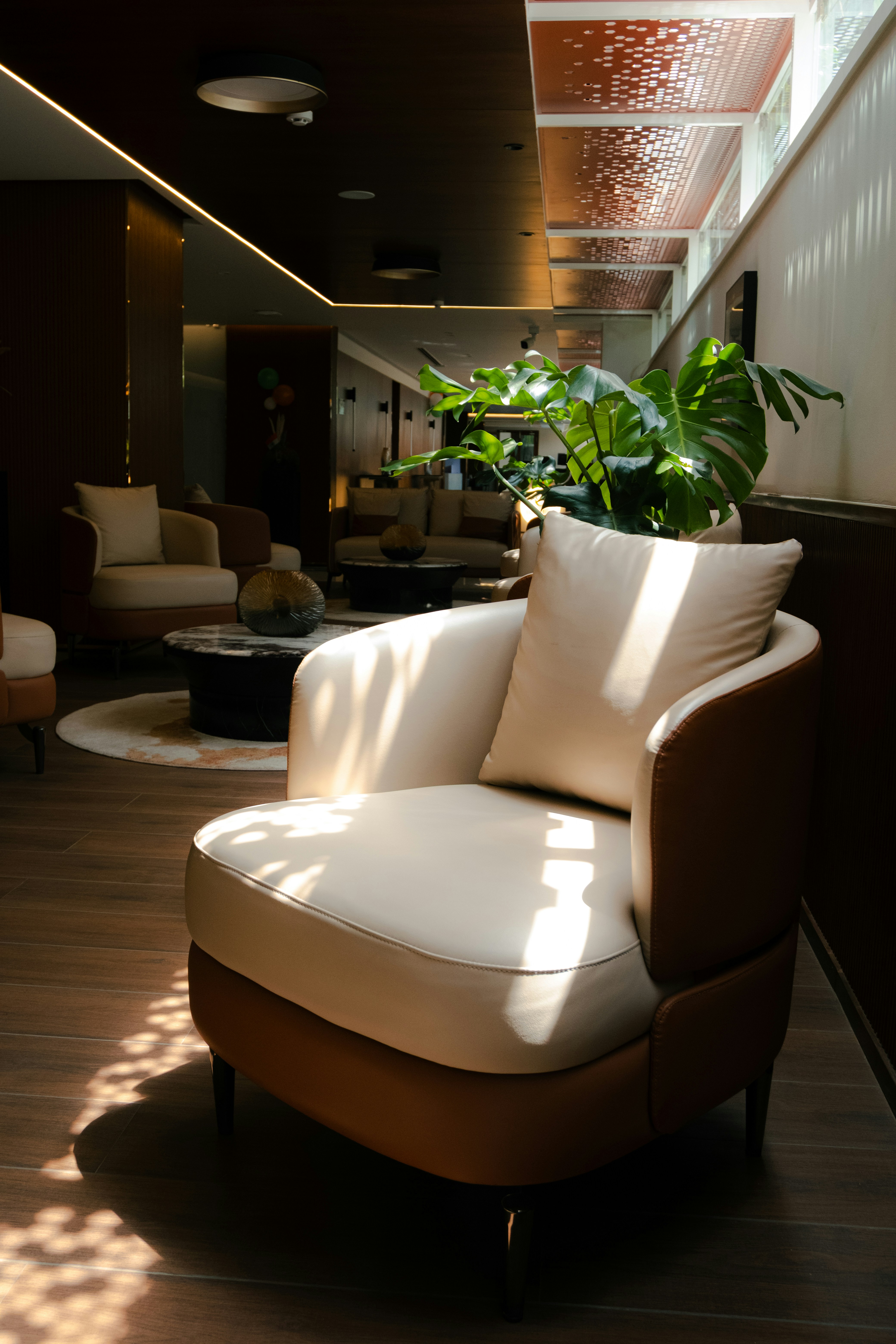 Warm hotel lounge with cream leather chair bathed in sunlight, tropical plant to the right, and distant seating areas; a serene, modern interior space.
