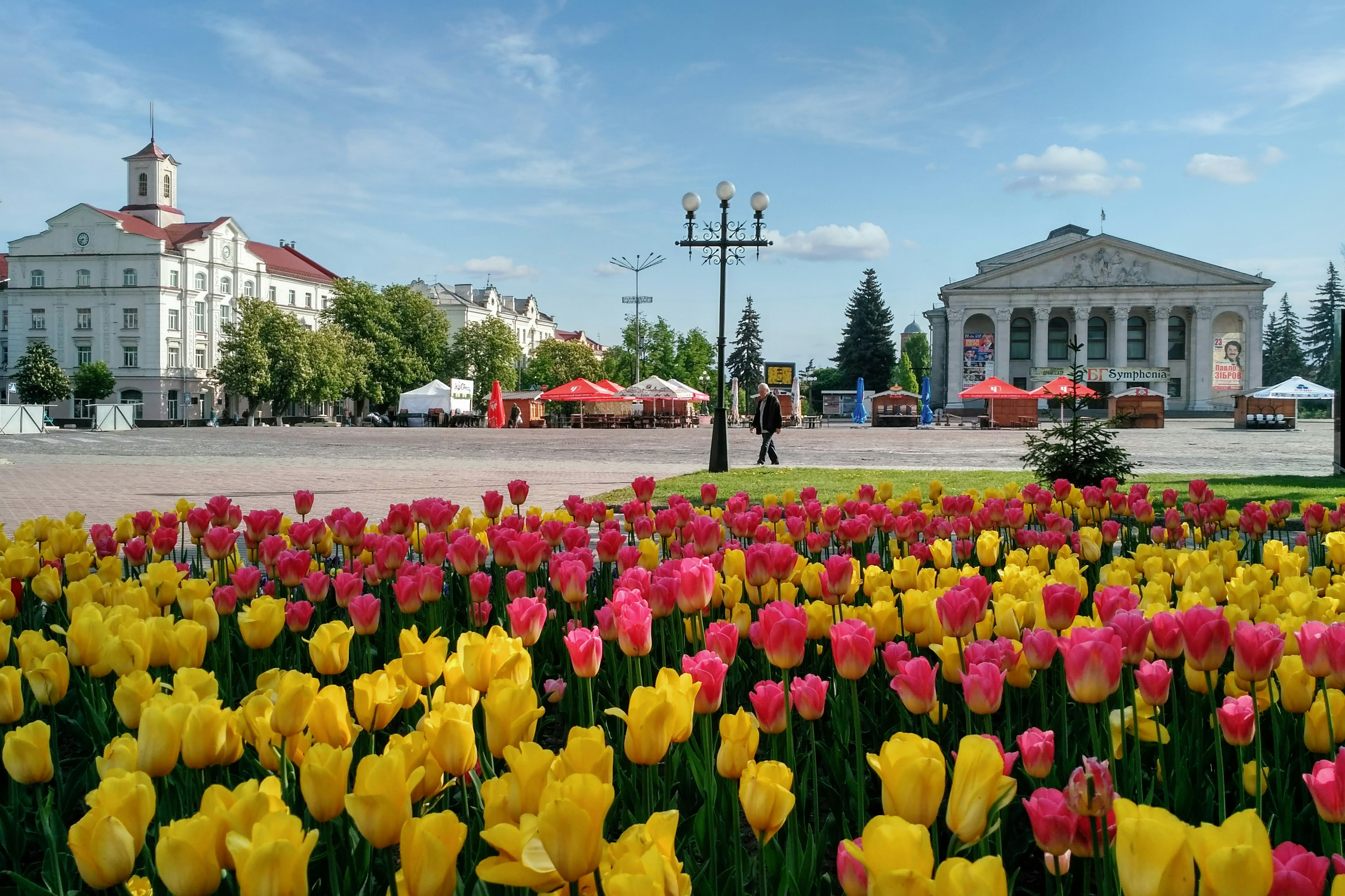 Tulip Terrace Overlook in a Sunlit Town Square