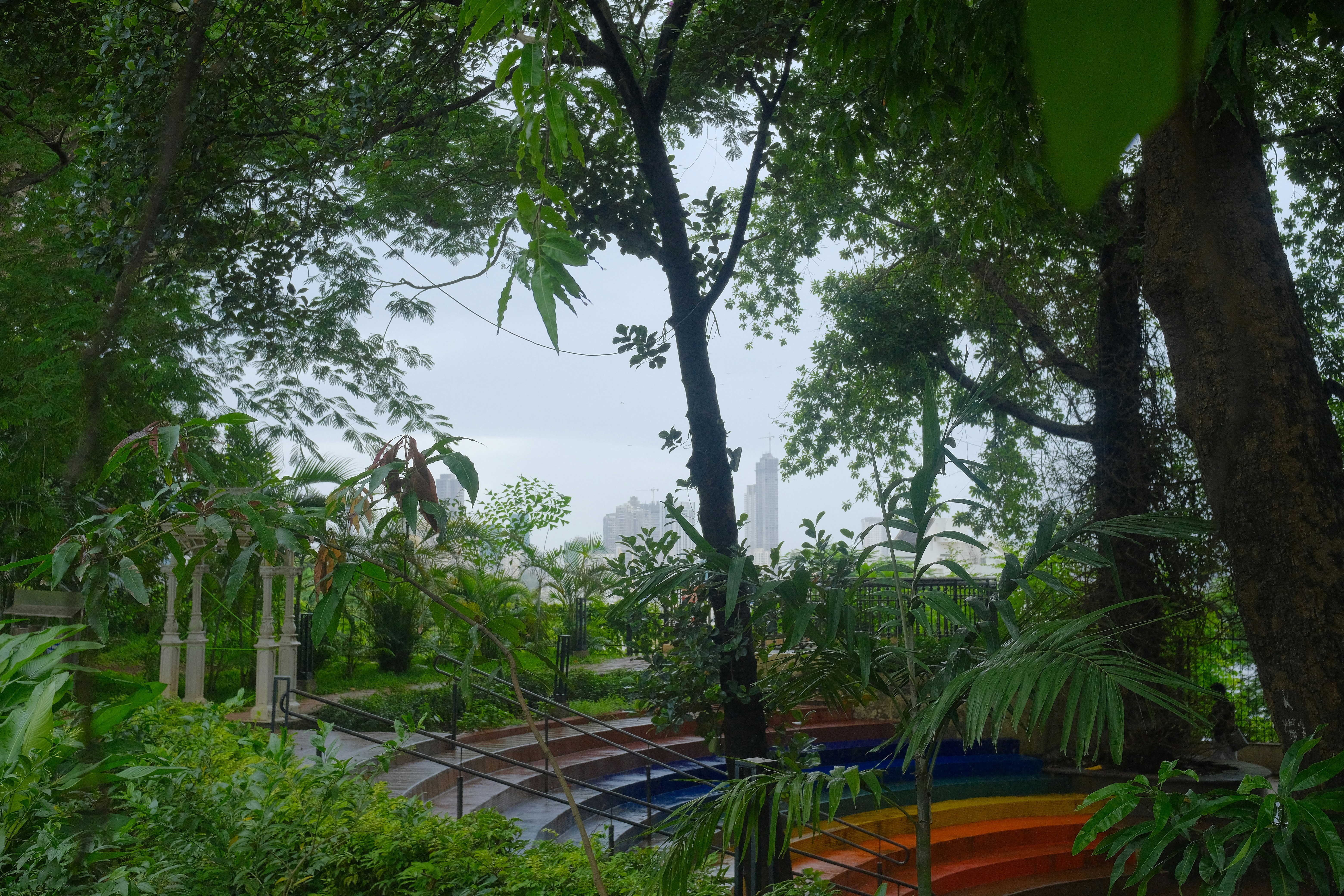 Urban Canopy Overlays: A Quiet Rooftop Garden Framed by Trees