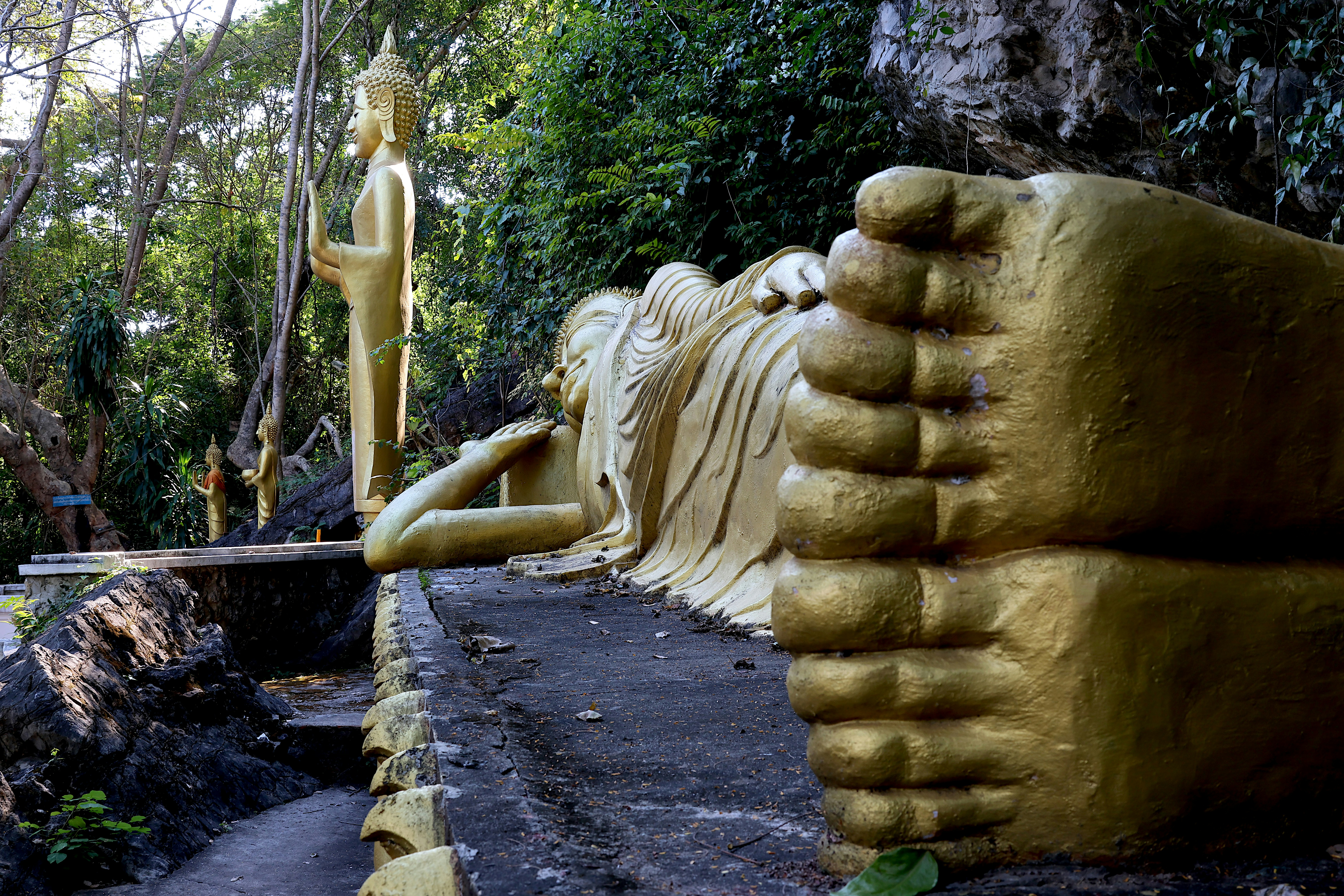 Golden Recline: A Serene Buddha Lying in a Forest Path