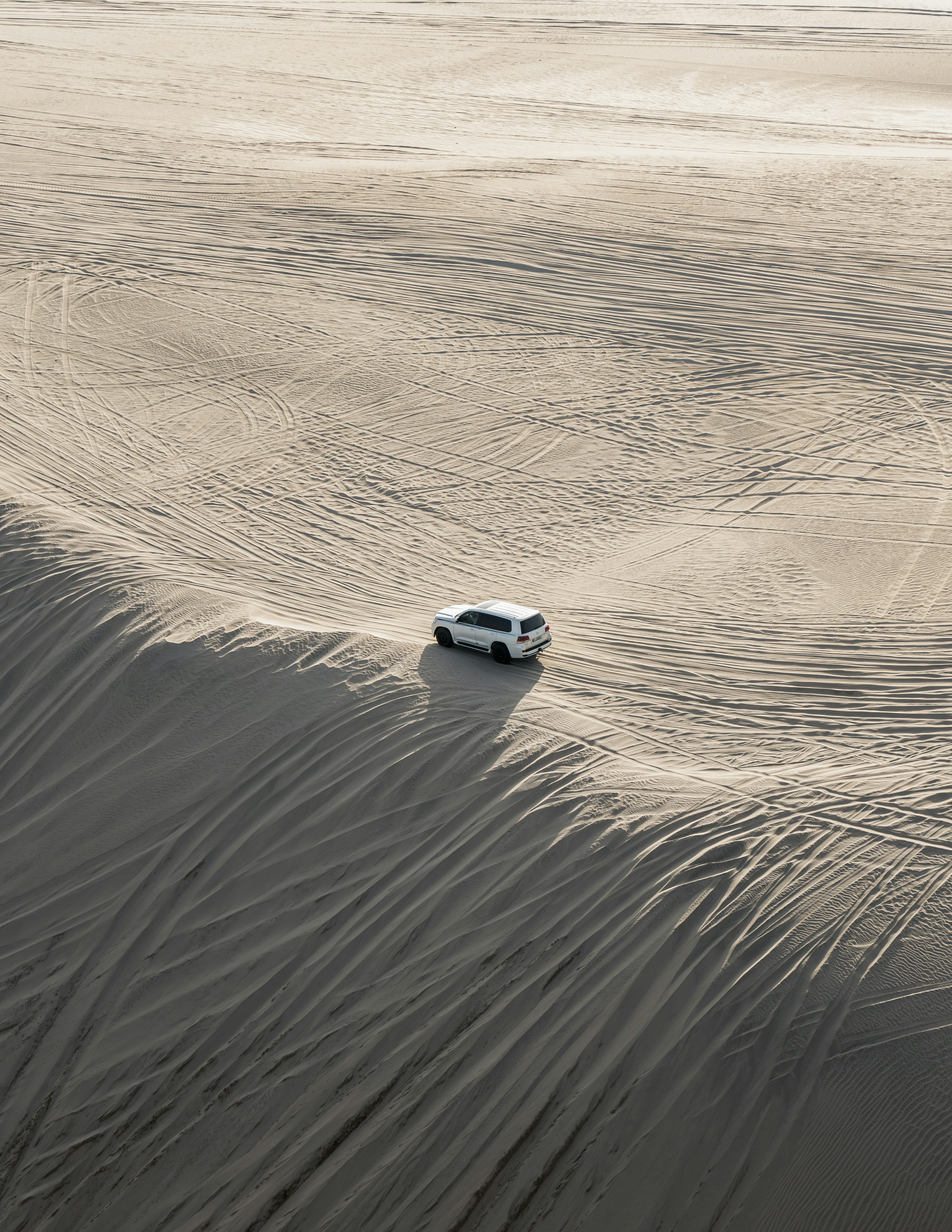 White SUV Traverses Inked Dunes: A Quiet Descent Across Sand Ridges