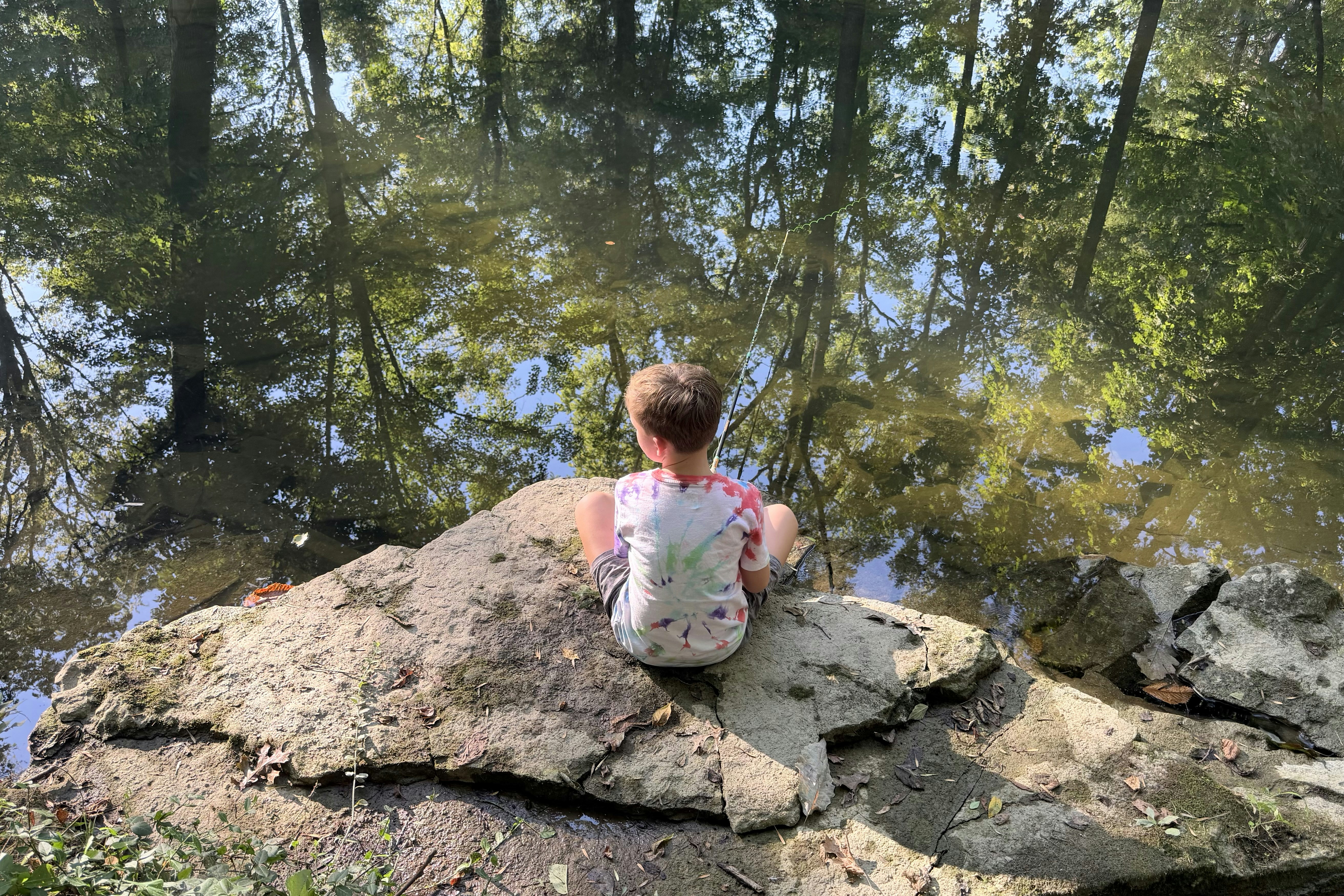 Child sits on a large rock at the water's edge, facing away from the camera amid sunlit trees and reflections on the calm stream.