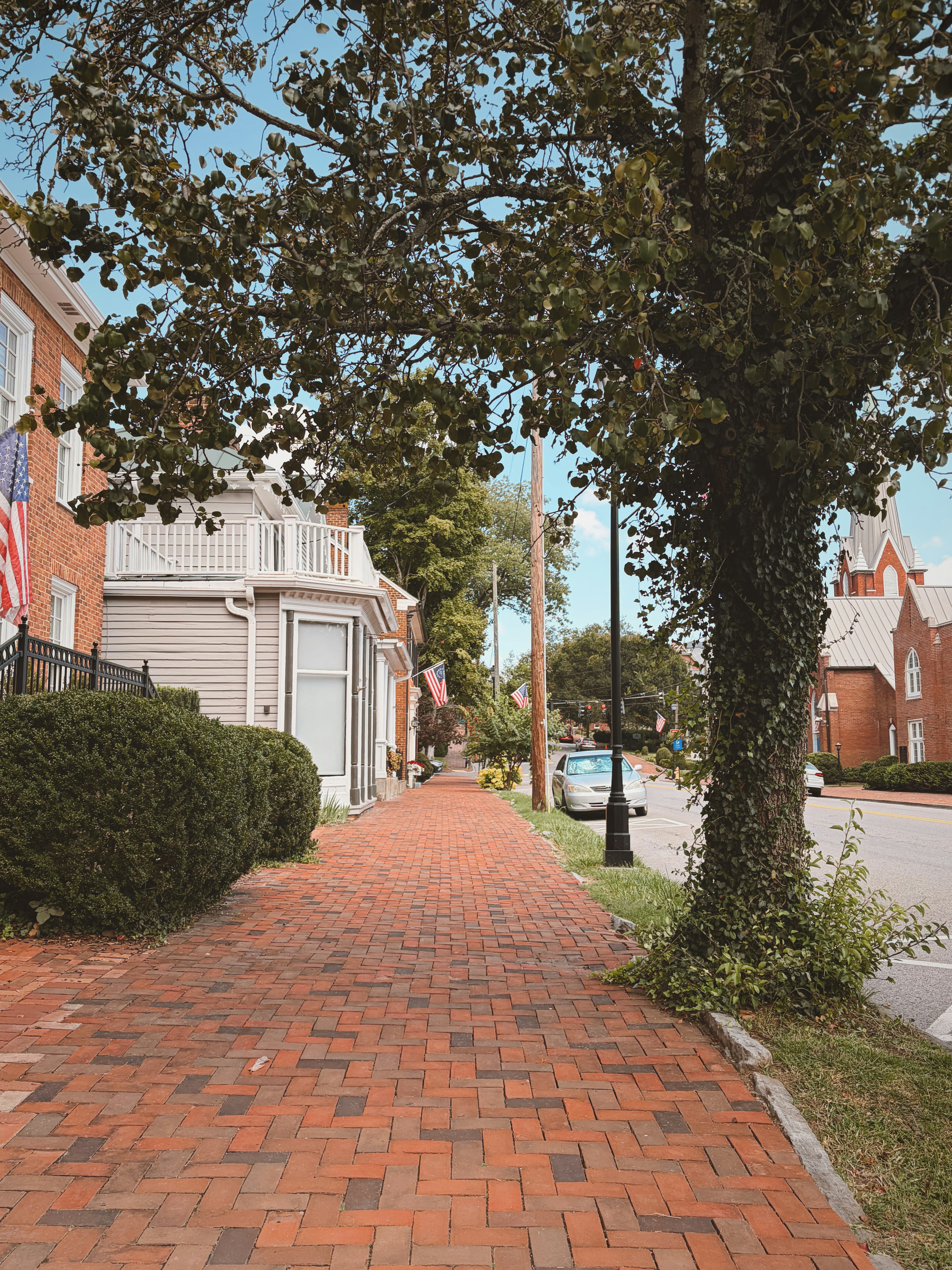Brick‑paved Boulevard Under a Canopy of Street‑Trees