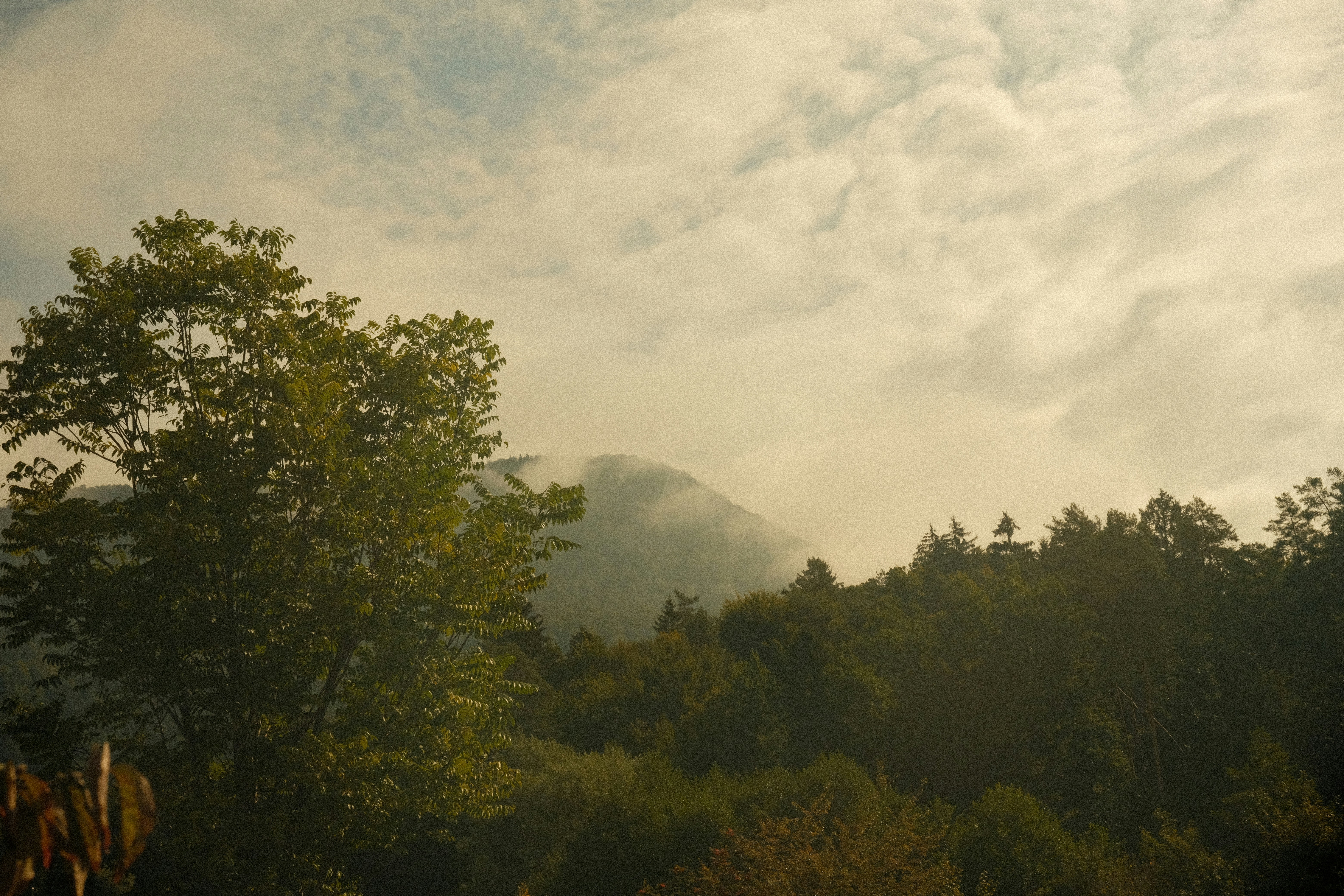 Early Morning Mist Over Quiet Ridge
