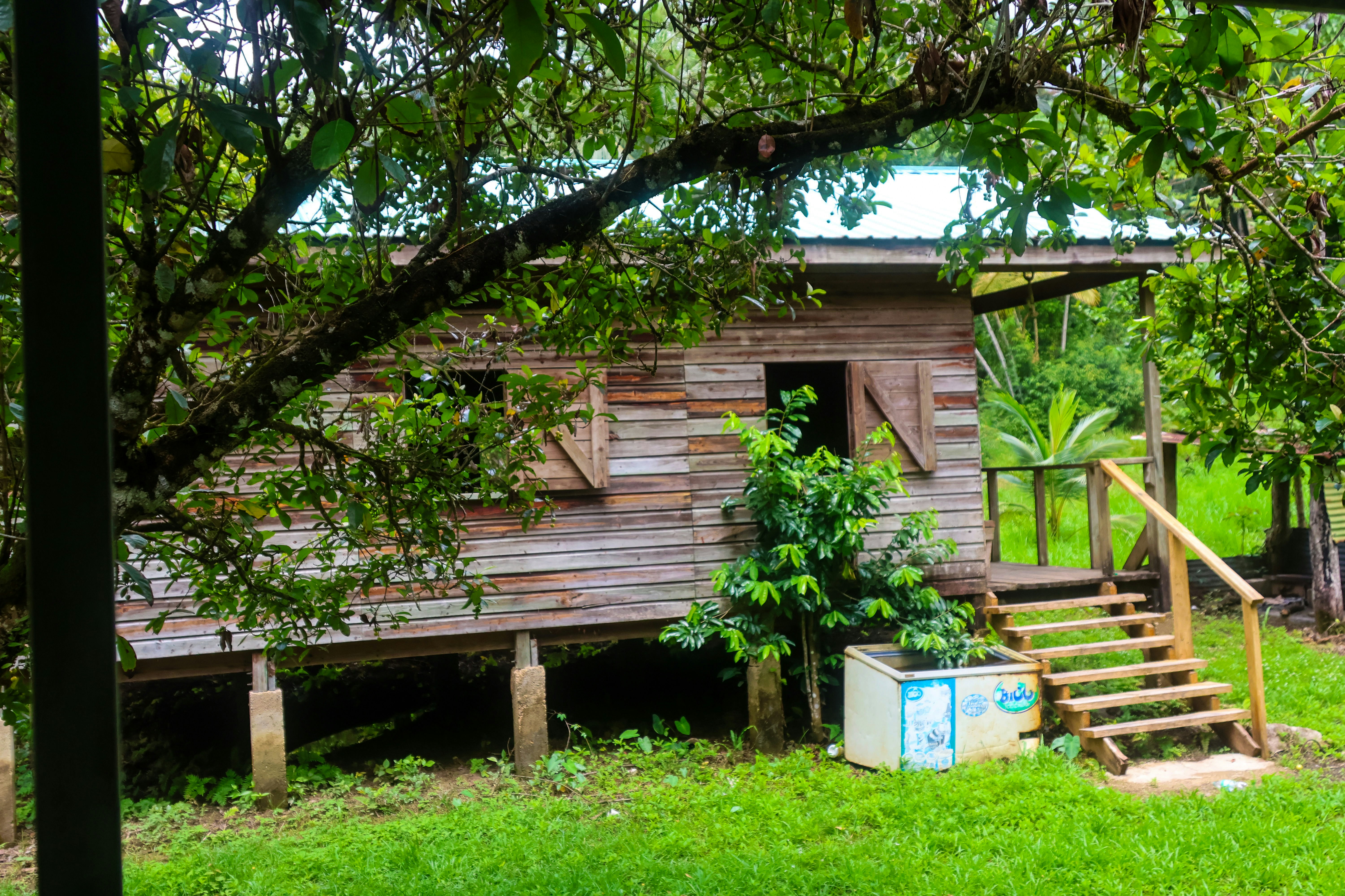 Weathered wooden cabin on stilts surrounded by green grass and trees, with steps and a small blue cooler in the yard.