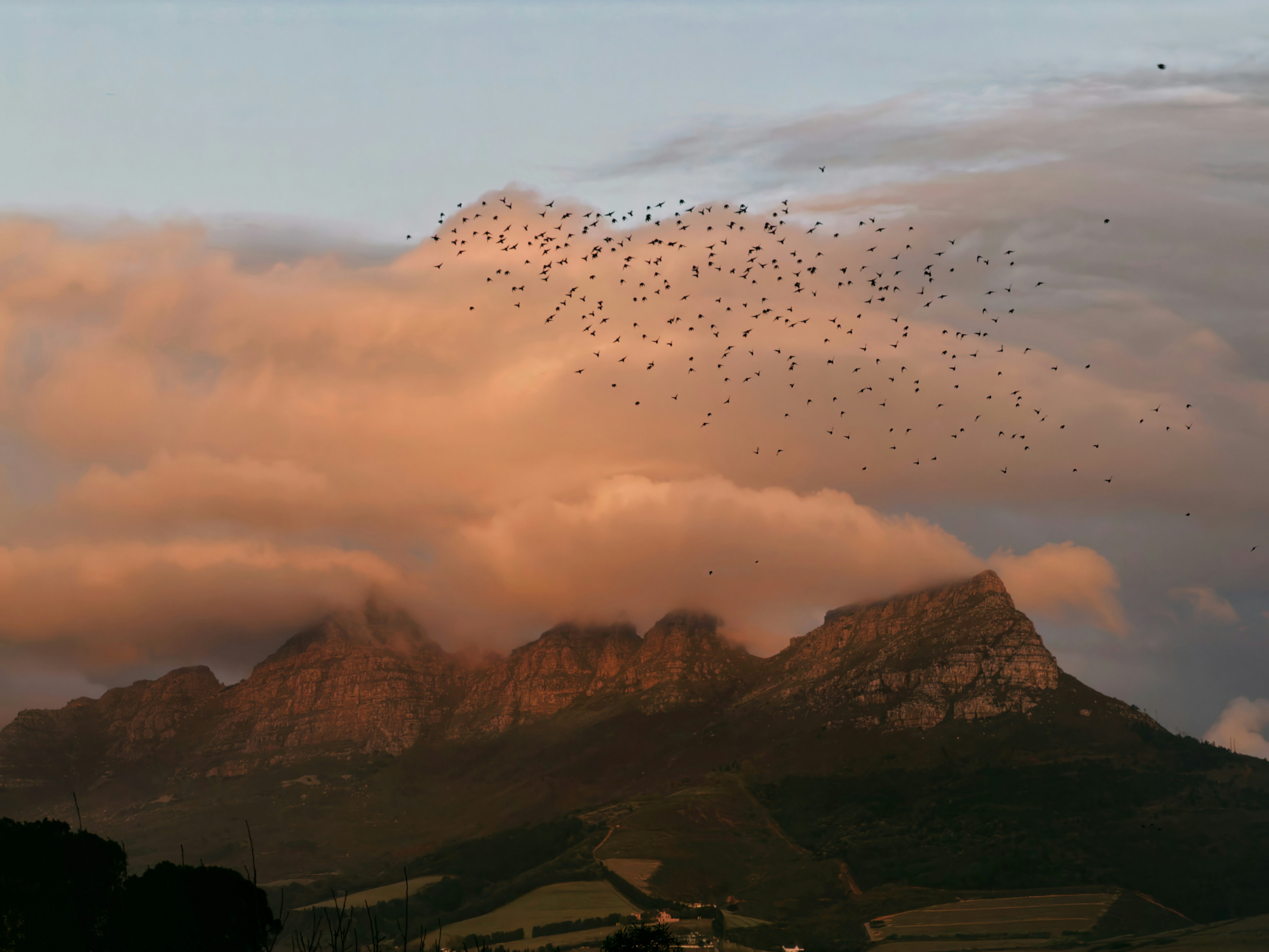 Sunset paints the Helderberg mountains with hues of orange and peach, while a flock of birds gracefully soars overhead.