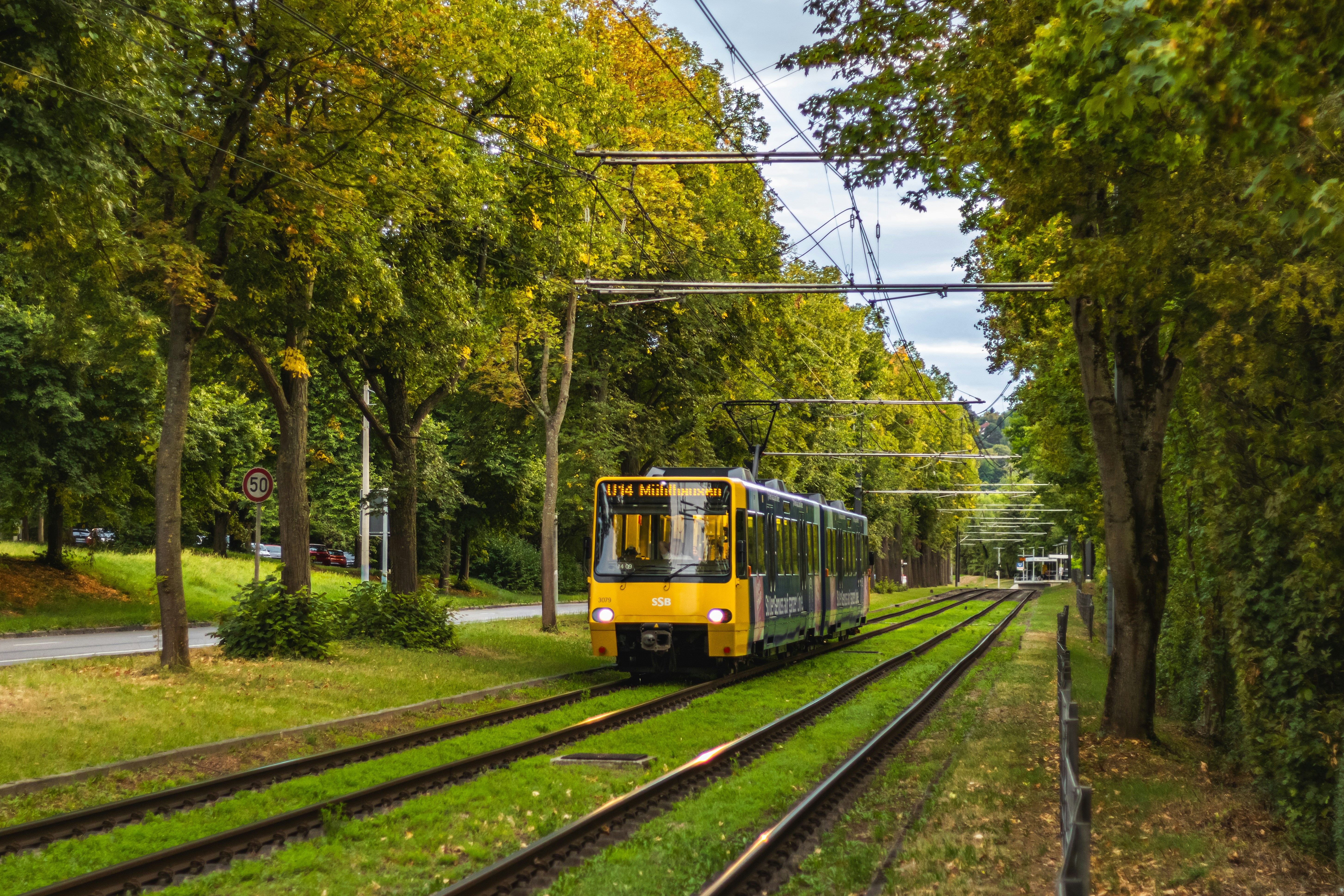 Yellow Tram Gliding Through a Canopy of Autumn Trees