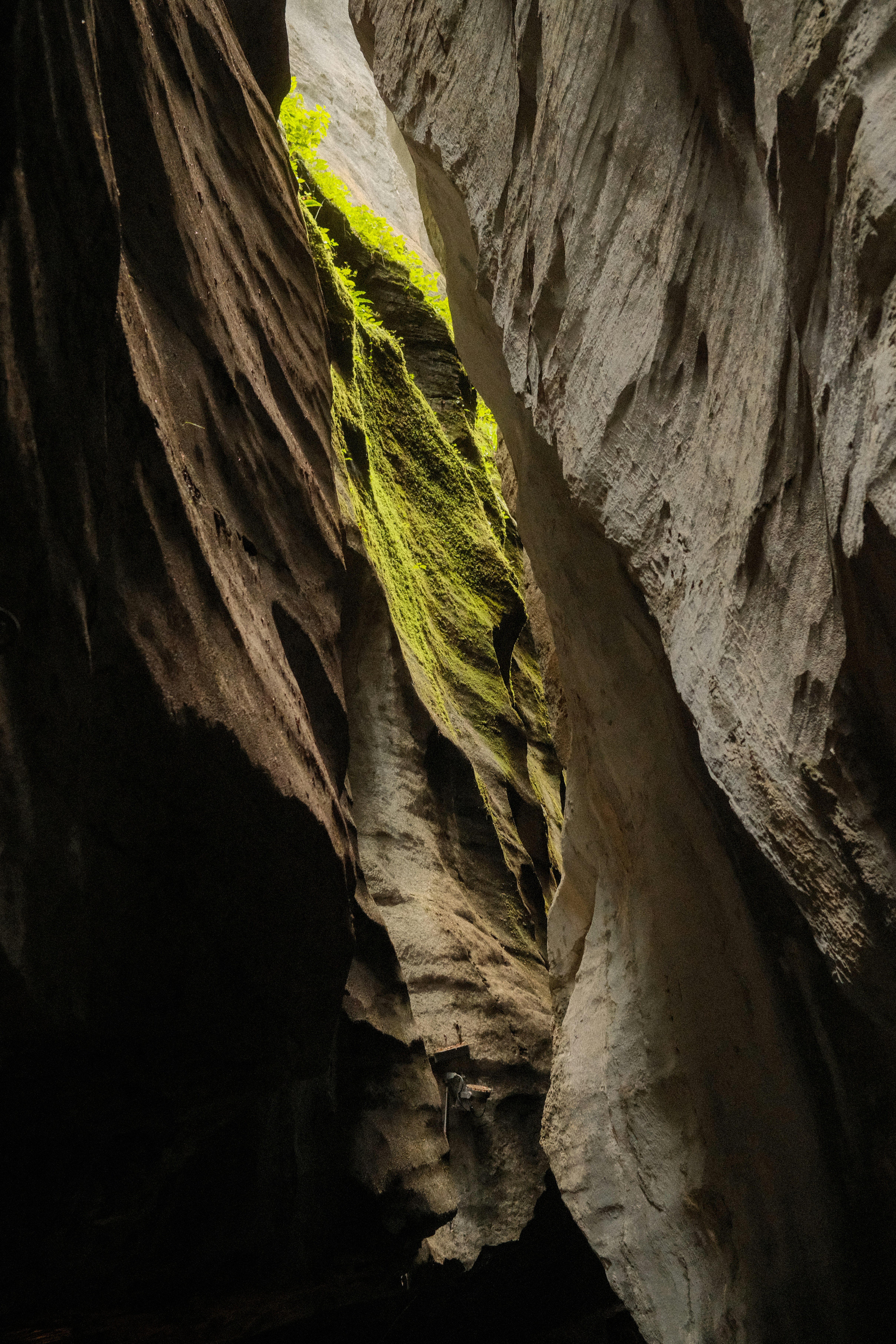 Canyon Vein: Light Finds a Green Thread Through The Gorge