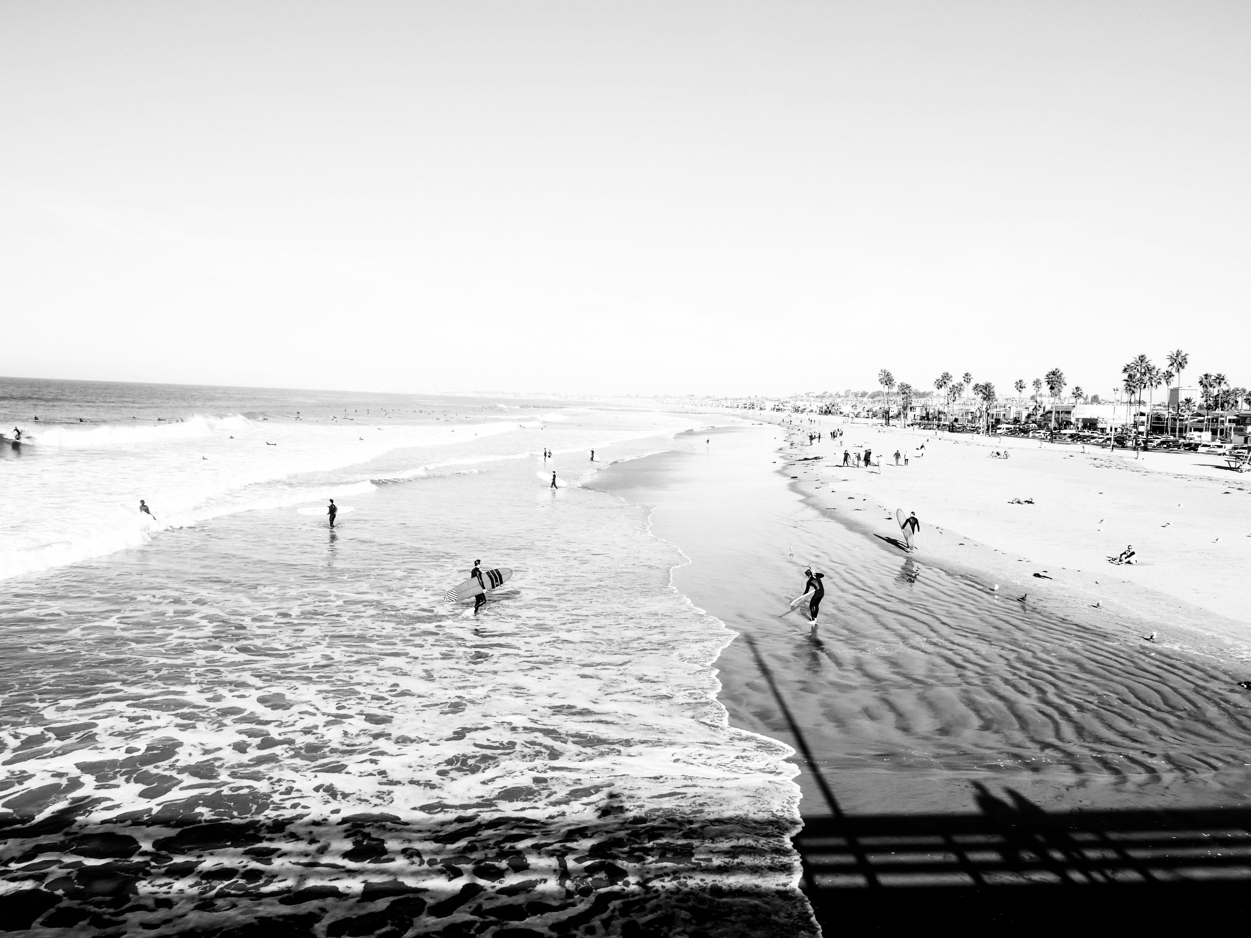 Shoreside daylight: shoreline, surfers, and distant palm silhouettes
