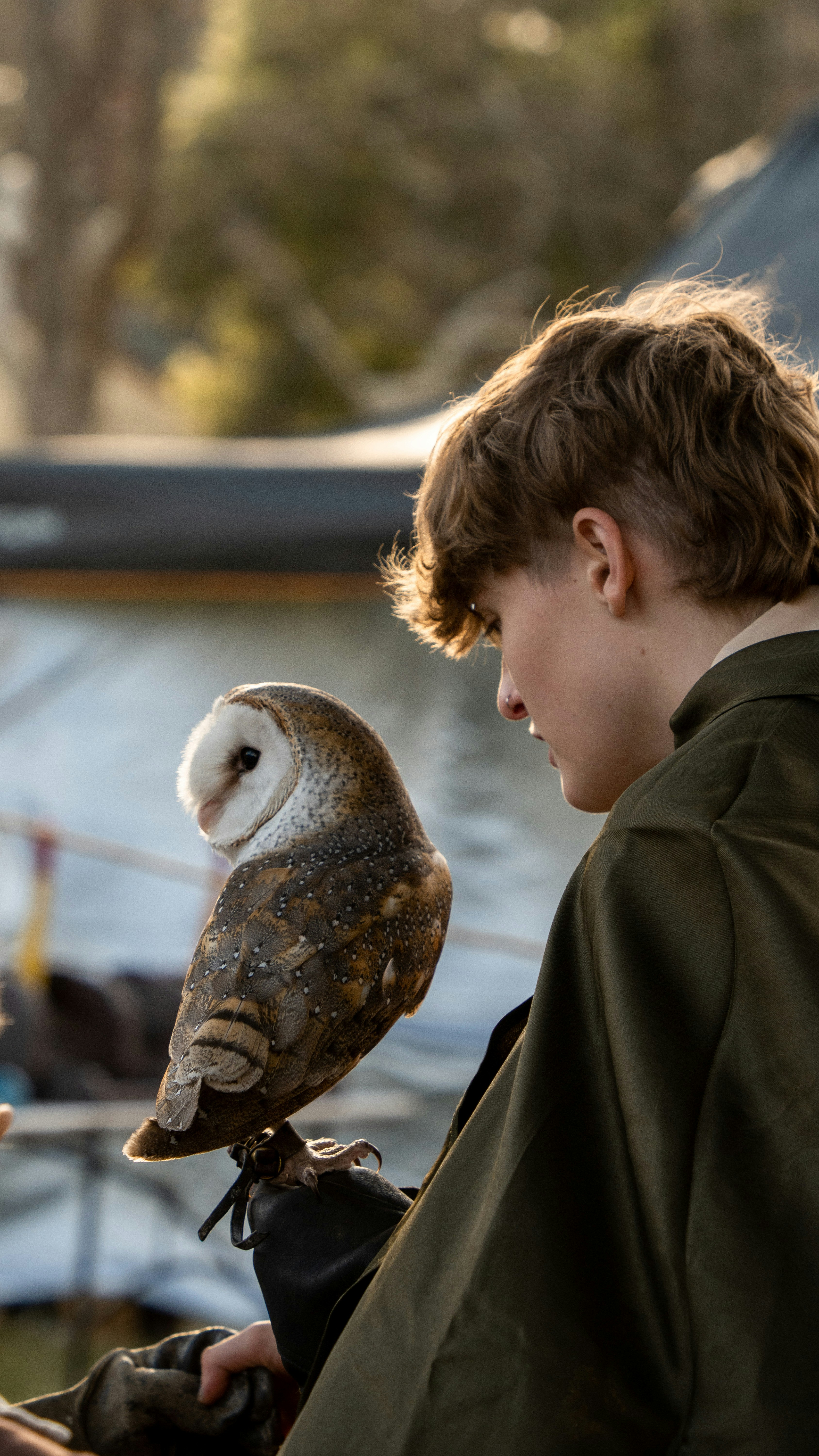 Close-up of a young person gazing at a barn owl perched on their gloved hand, with a blurred campsite backdrop in warm afternoon light.