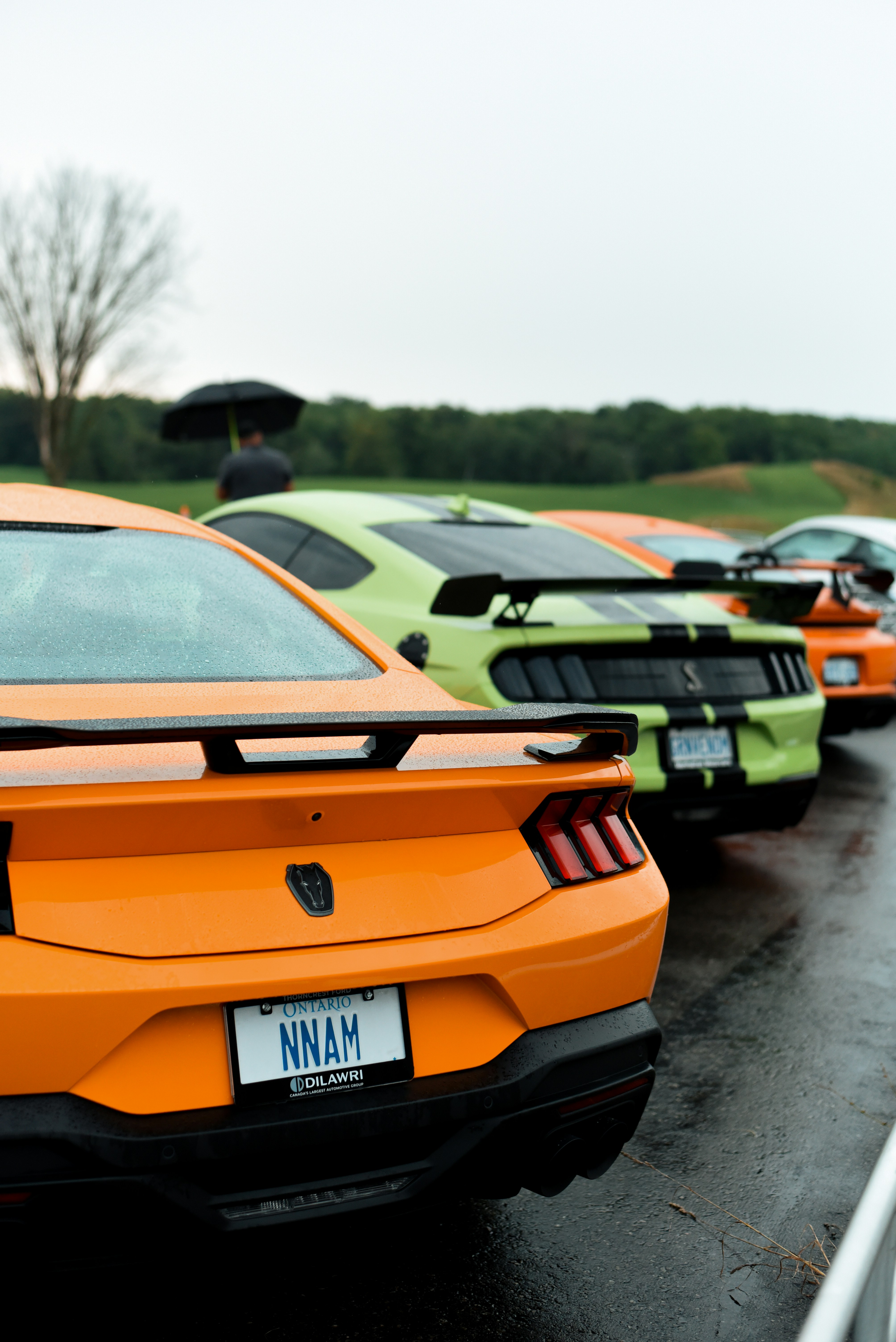 Row of Velocities: Orange, Green, and Blaze at the Rainy Track