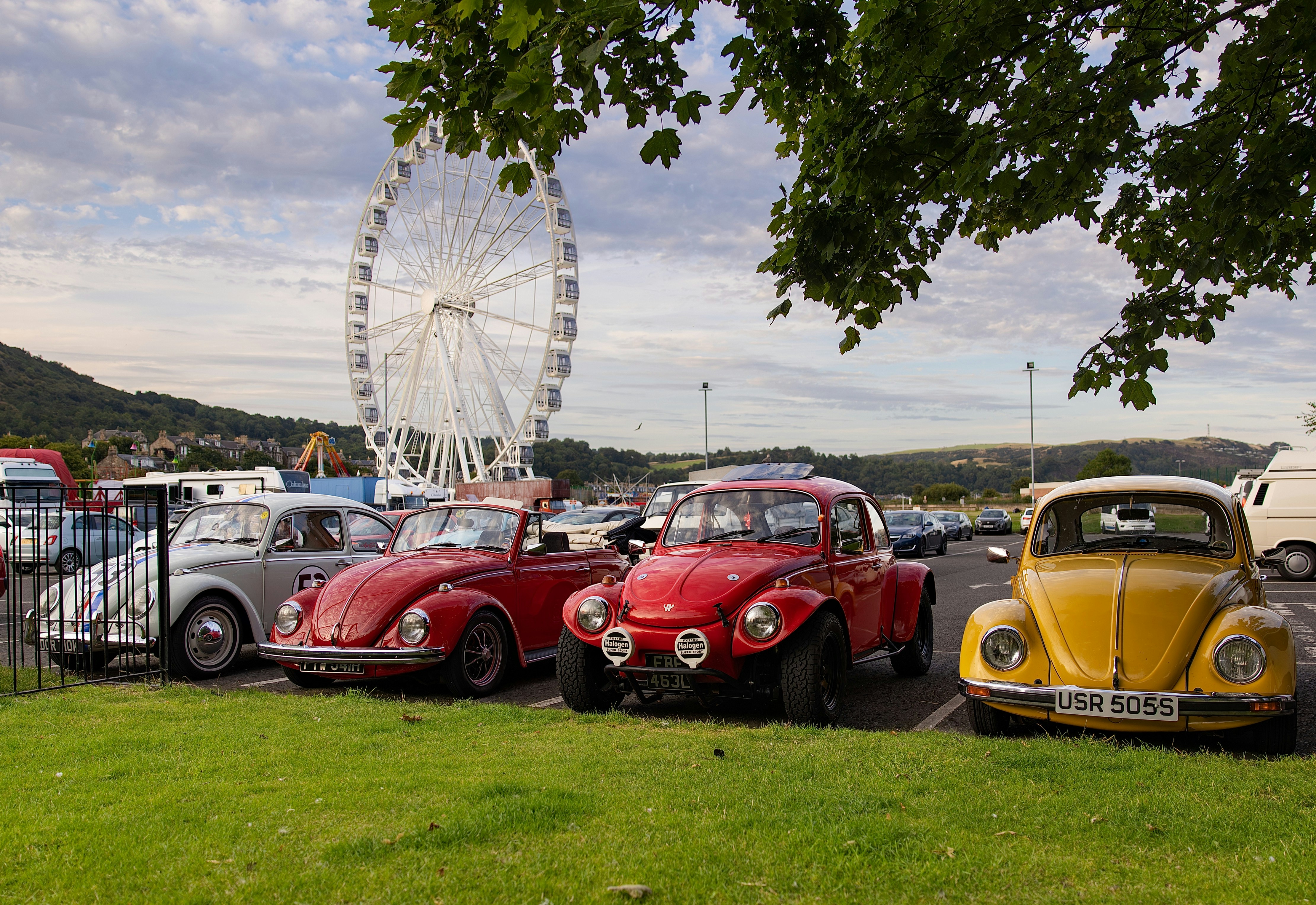 Classic Cars and a Ferris Wheel Under a Green Canopy