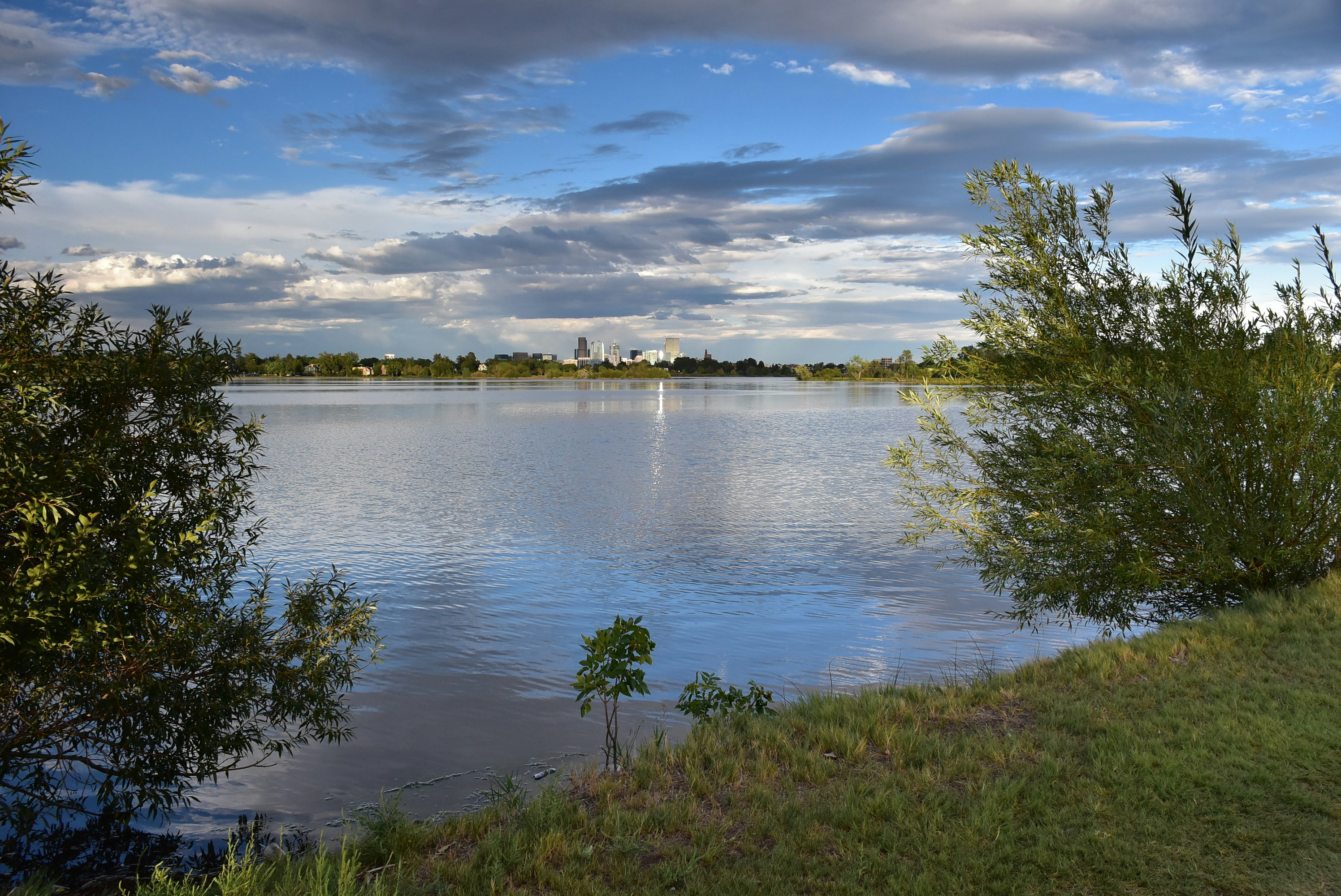 Calm lake with greenery framing the foreground and a distant city skyline under a partly cloudy sky. A tranquil landscape emphasizing water, sky, and natural shore.