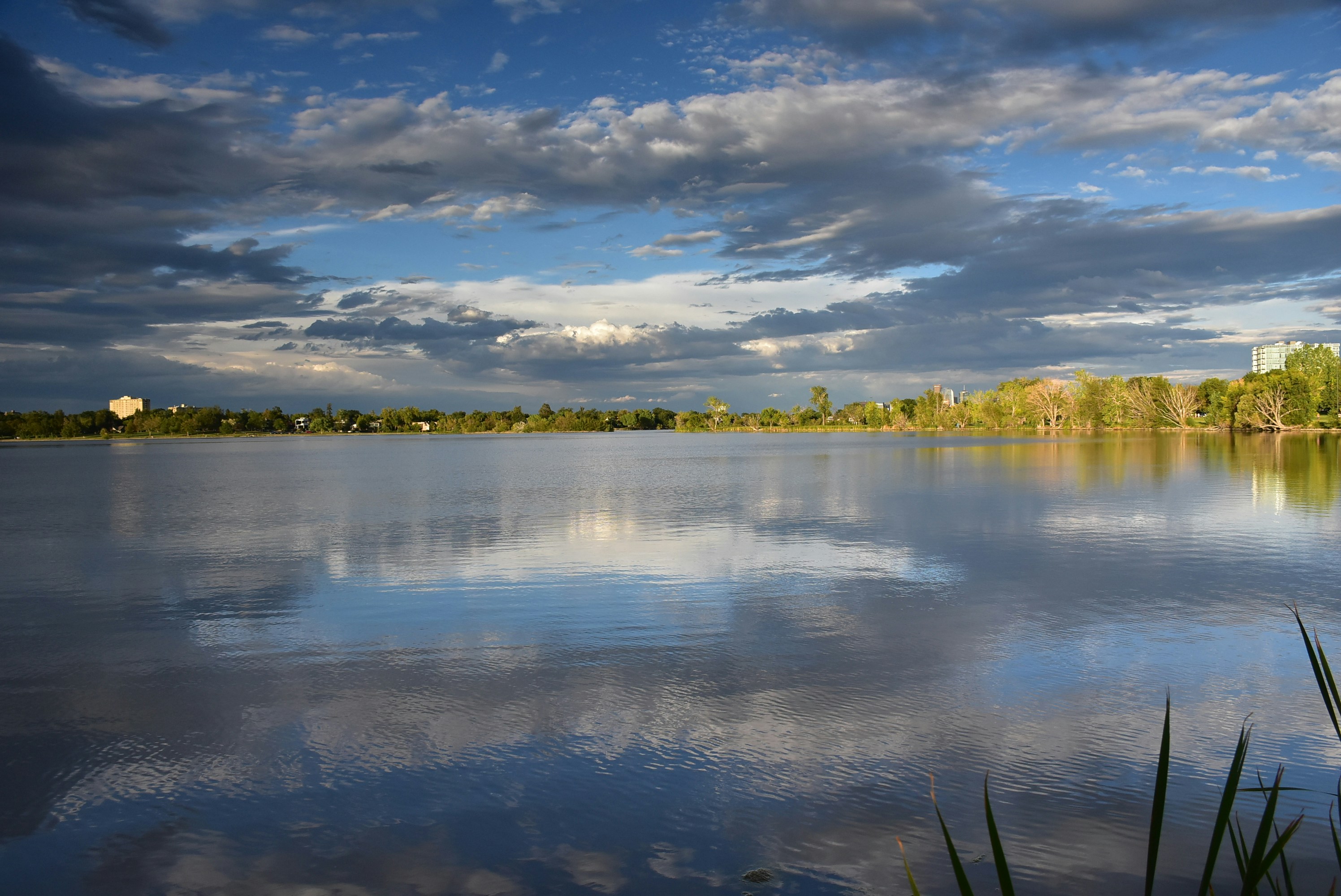 Mirror of the City Sky: Calm Lake Reflecting a Cloudy Sky