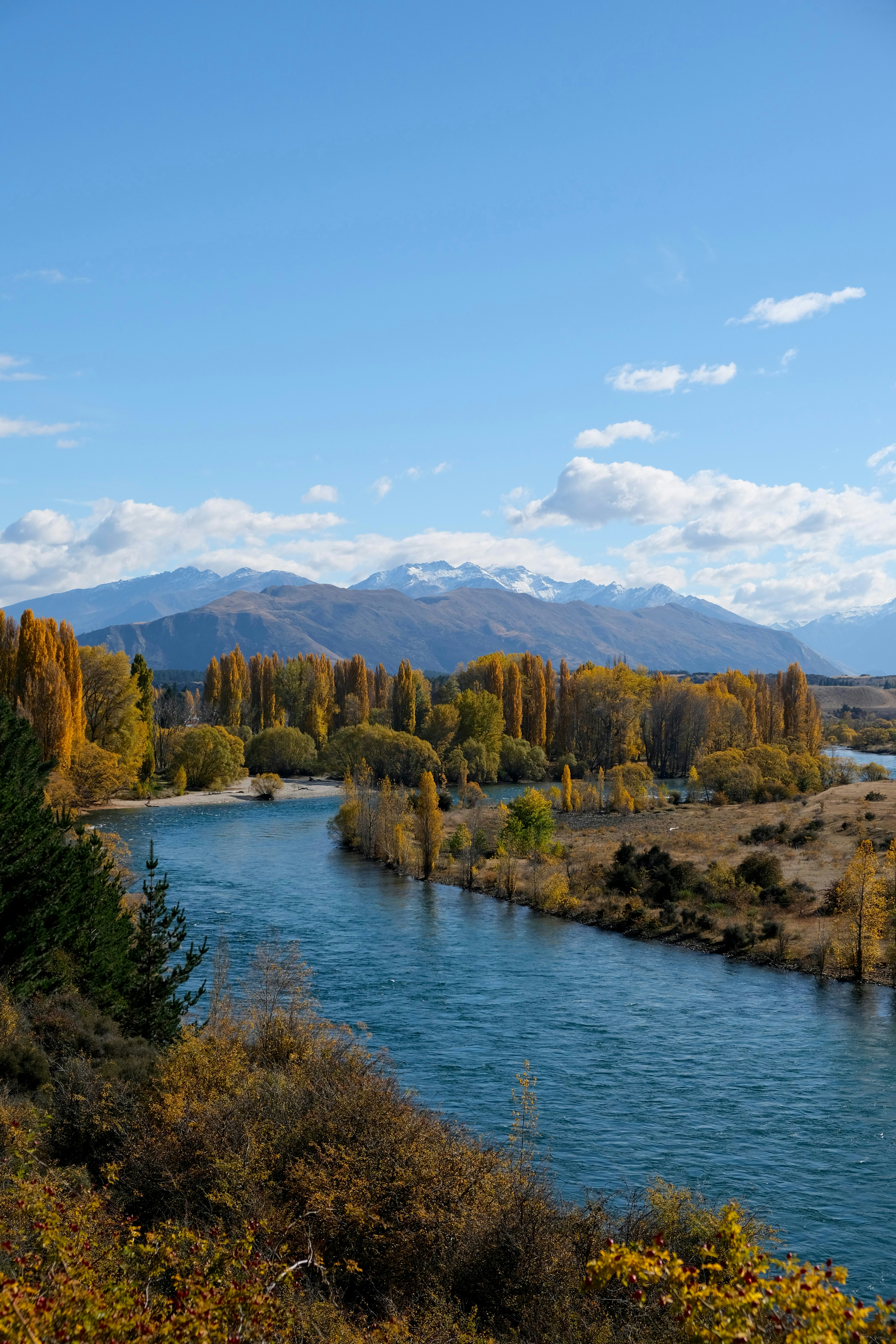 Autumn River Fold: Golden Trees Along a Mountain River